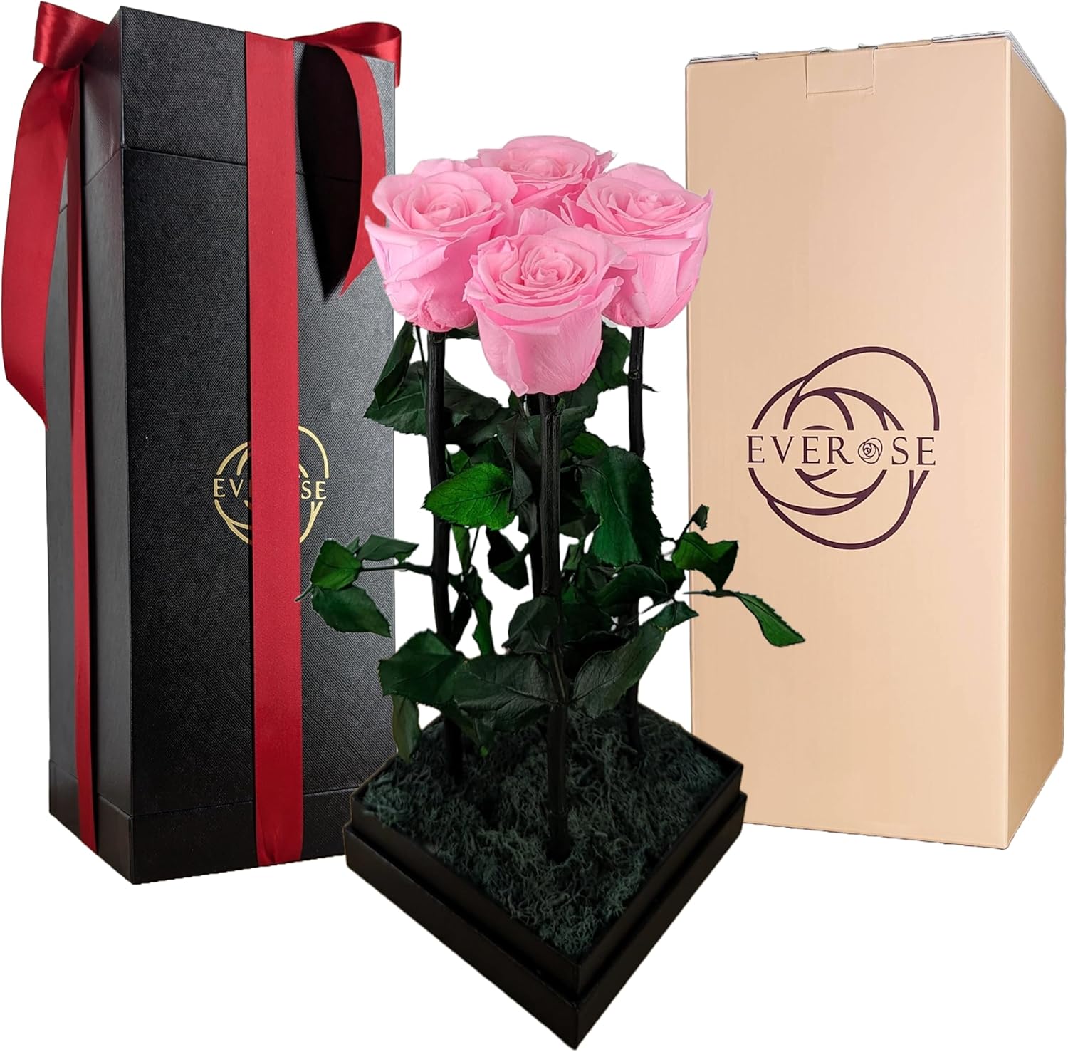 Amazon.com: EVEROSE 4 Preserved Long Stem Roses, 100% Real Roses in a ...