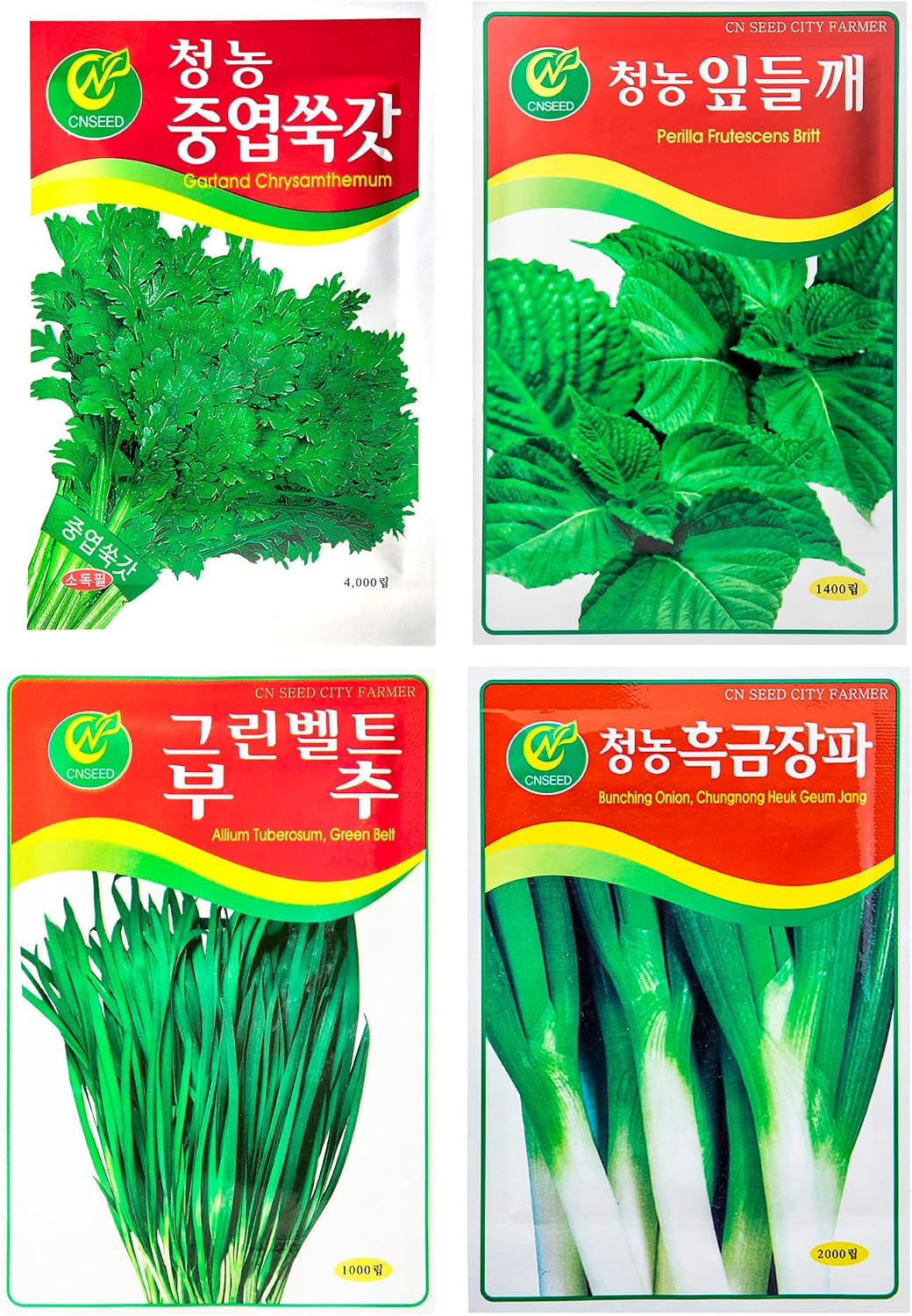 Amazon.com : Korean Green Leaf Vegetables Seeds, 4 Packs - Chives ...