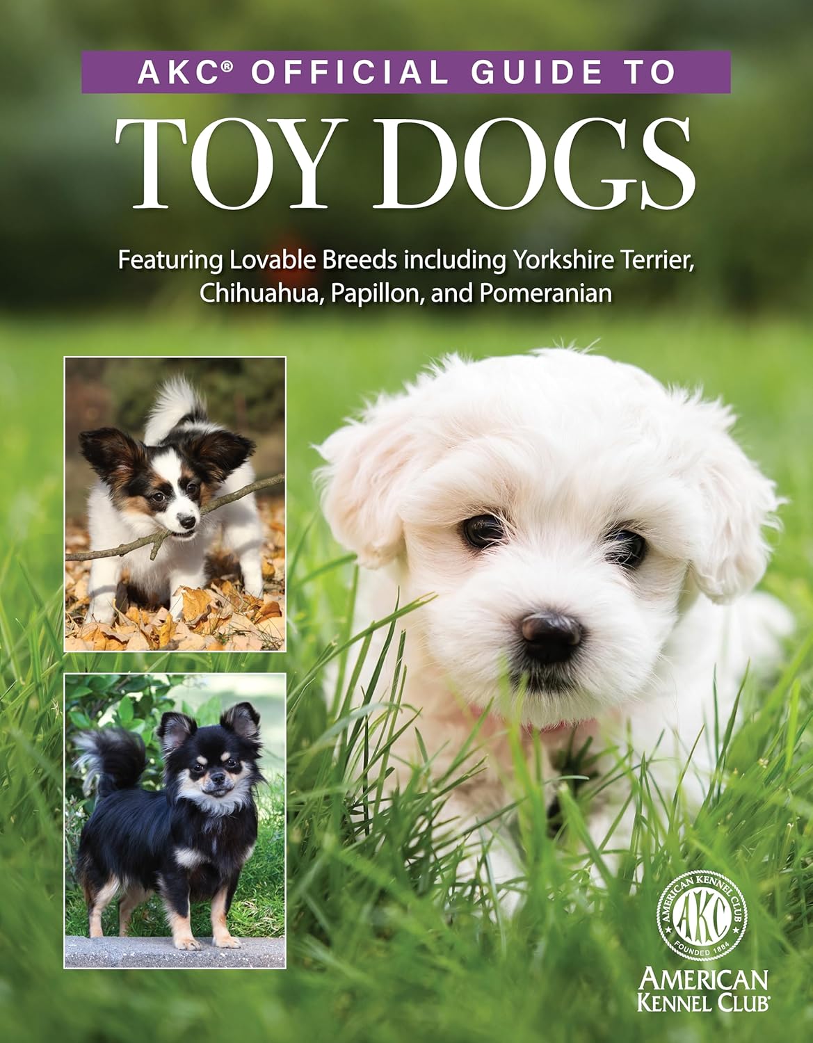 AKC Official Guide to Toy Dogs: Featuring Lovable Breeds including ...