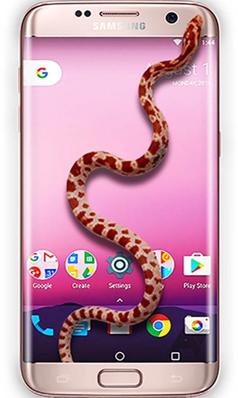 Snak On Screen - App on Amazon Appstore