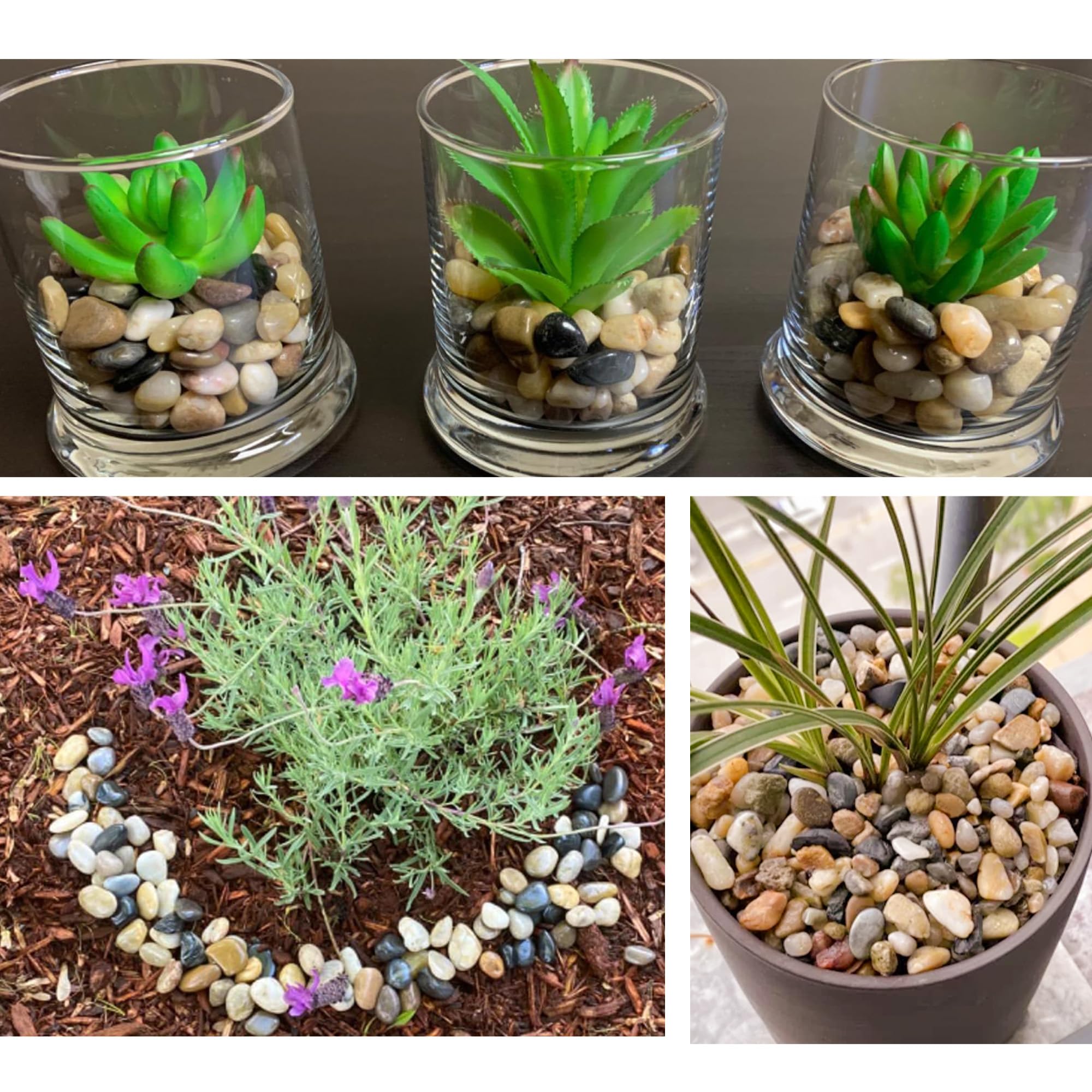 Snapklik.com : CJGQ 2.4lb 1/2" Pebbles For Plants Potting