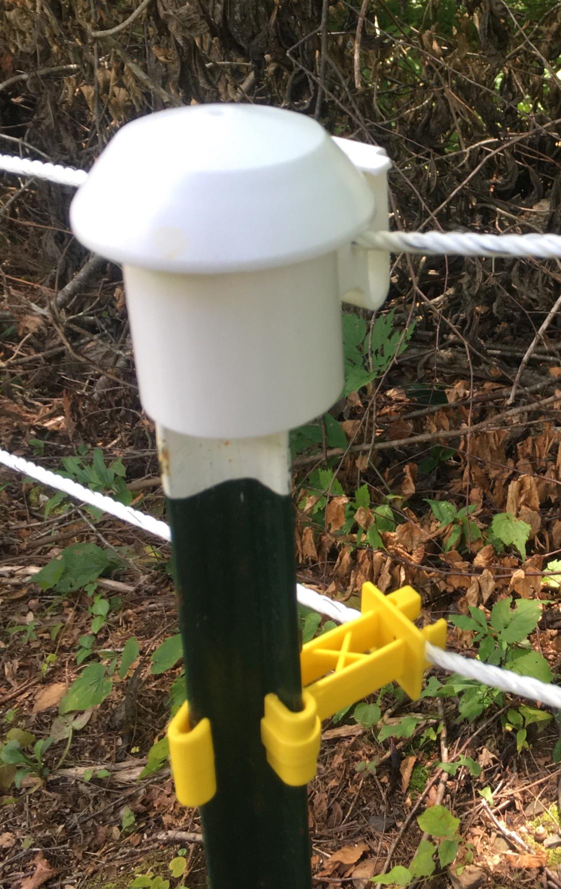 Amazon.com : Powerfields R-4-W Bag of 10 T-Post Cap, White : Decking ...