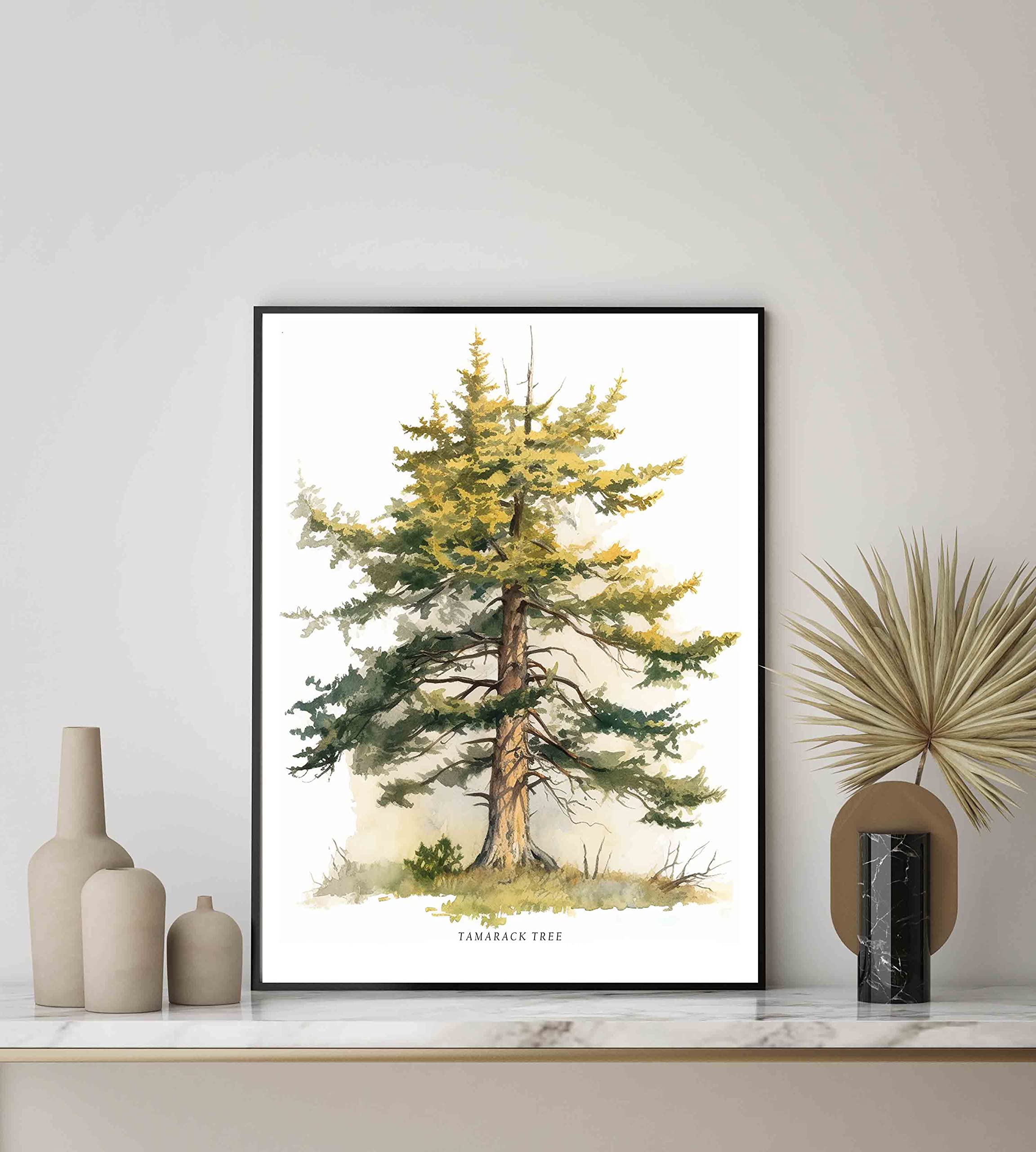 Tamarack Tree Drawing How To Grow And Care For Larch Trees