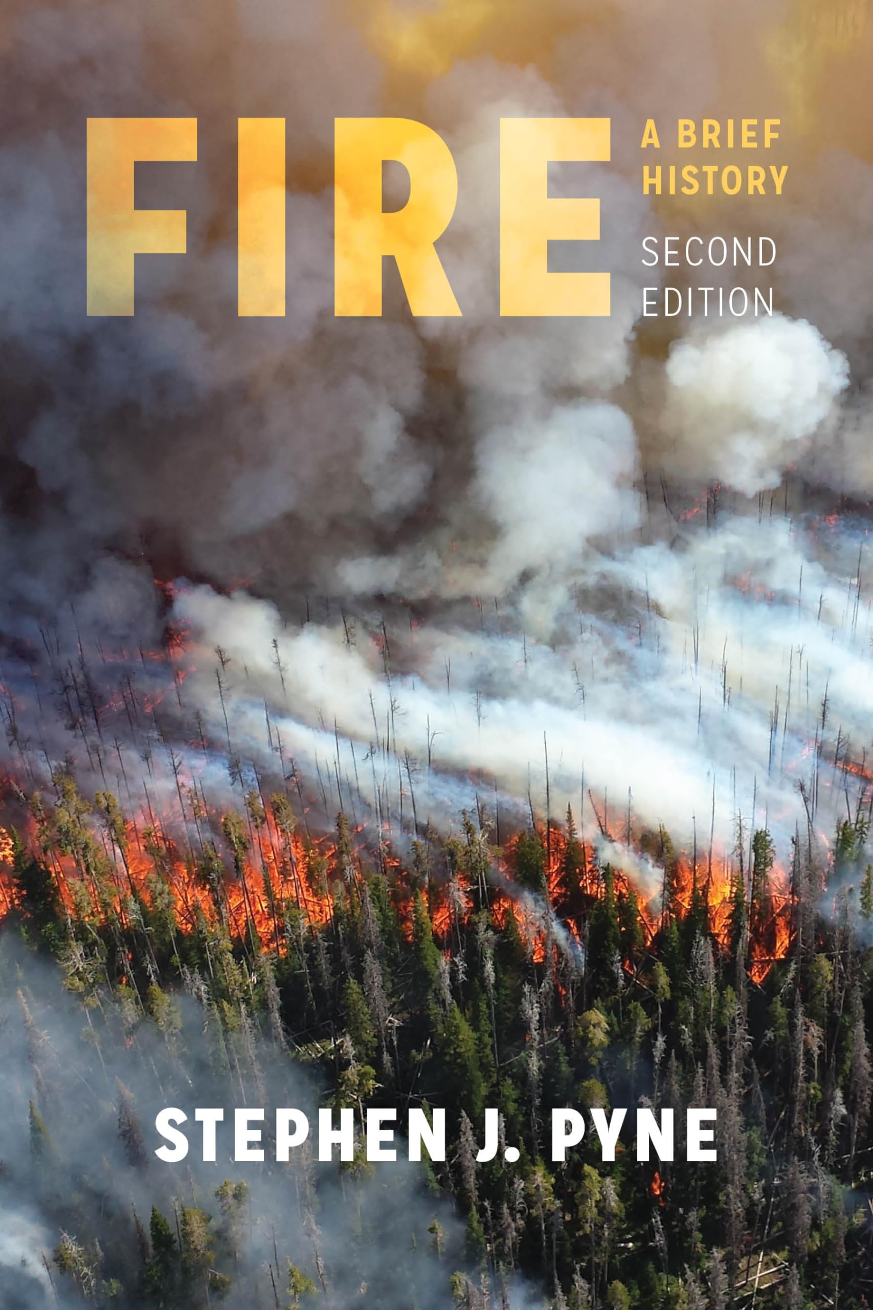 Fire: A Brief History (Weyerhaeuser Environmental Books): Pyne, Stephen ...