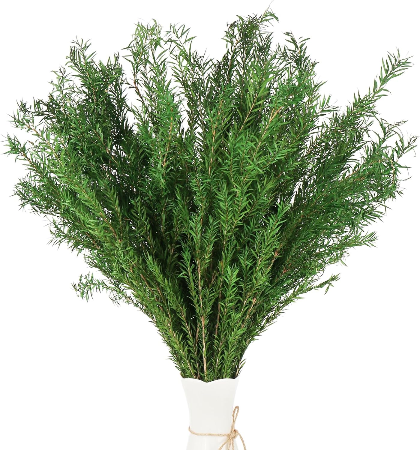 Amazon.com: Dried Greenery Stem for Vase Home Decor, 2 Bundles Pack 7 ...