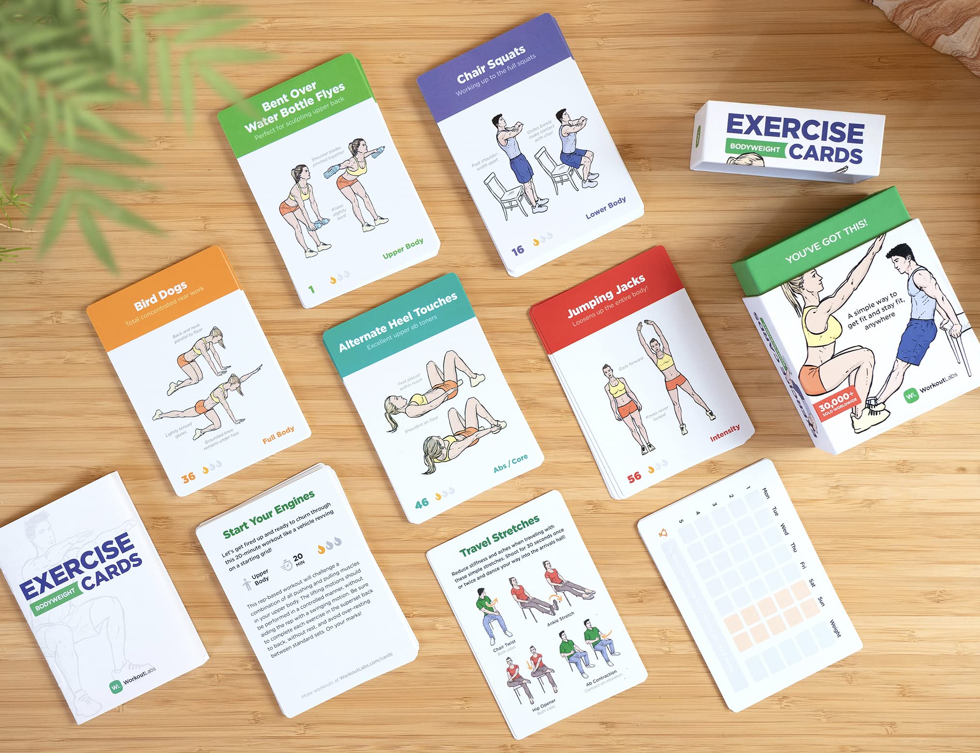 Buy WorkoutLabs Exercise Cards: Bodyweight – Home Workout Cards Deck ...