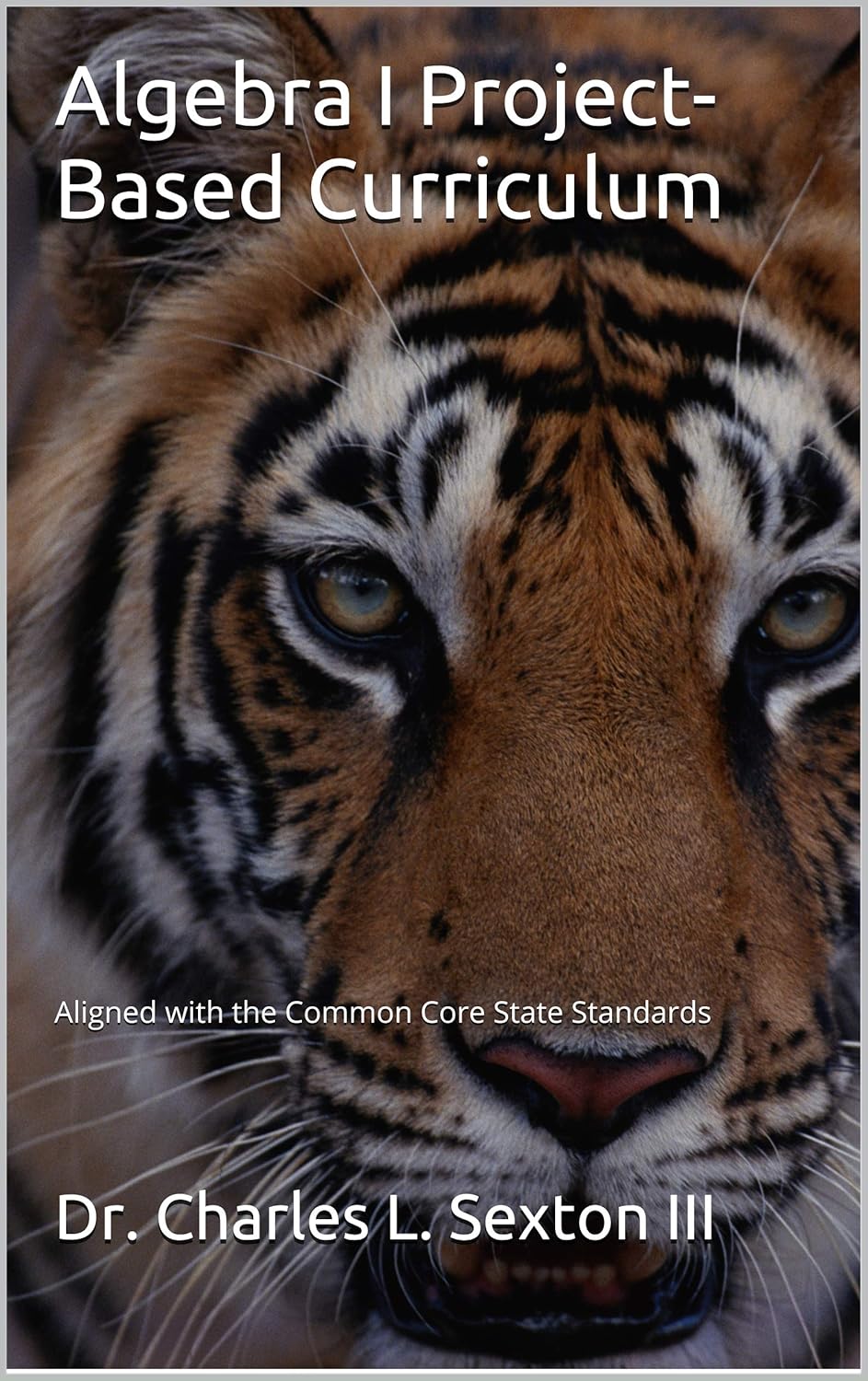 Amazon.com: Algebra I Project-Based Curriculum: Aligned with the Common ...