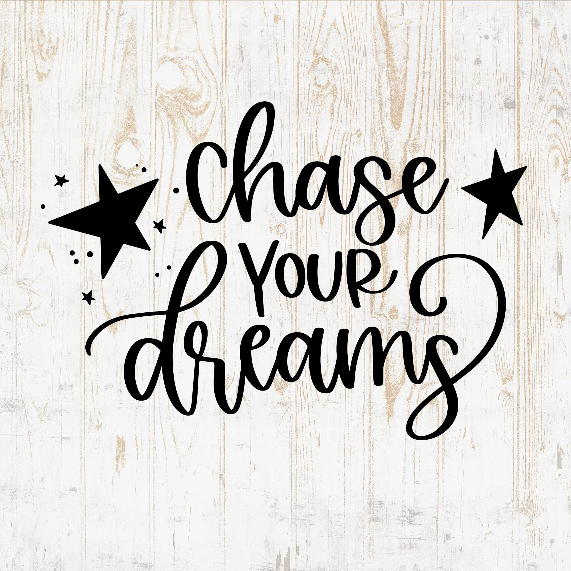Chase Your Dreams Quotes