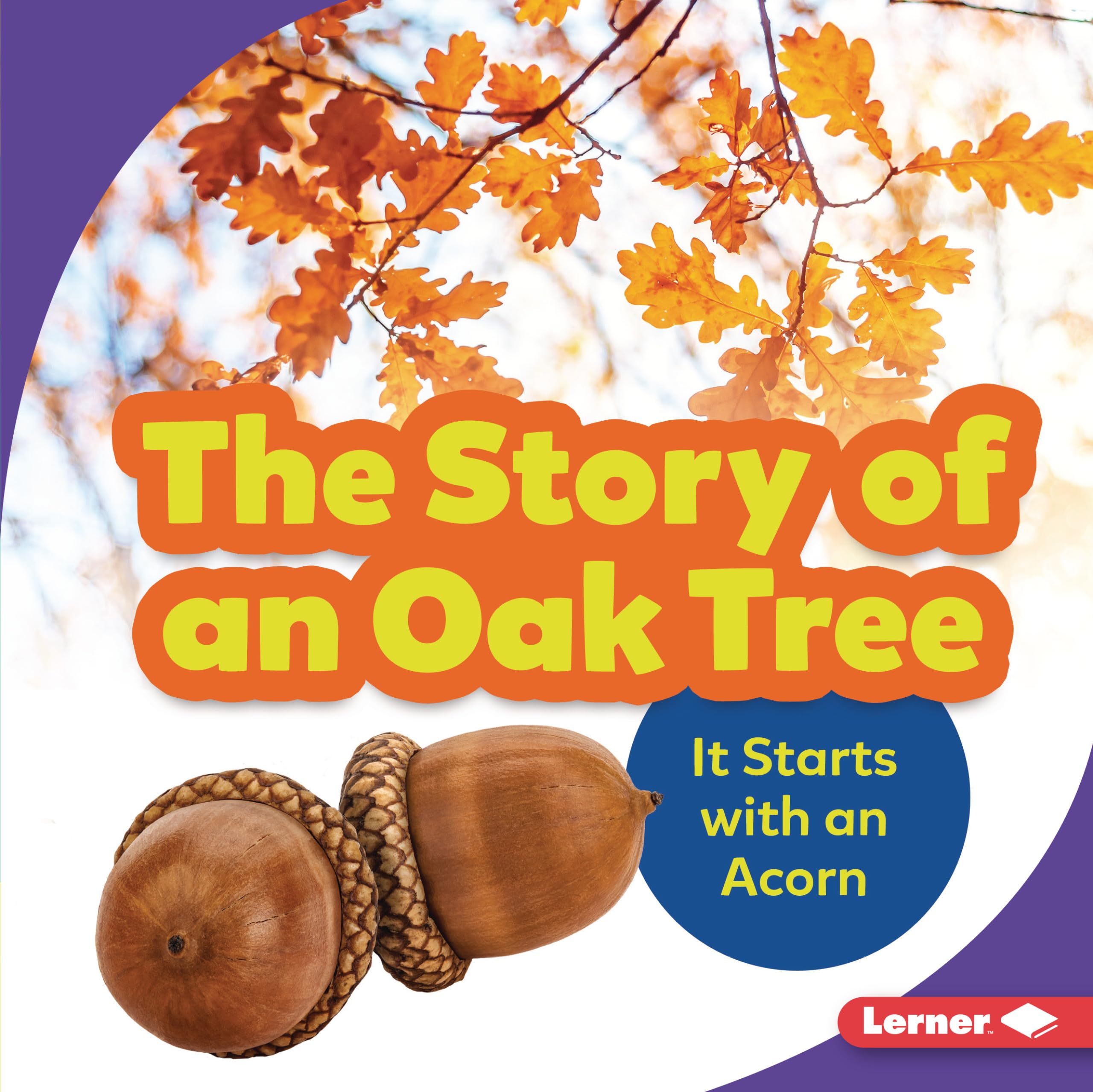 The Story of an Oak Tree: It Starts with an Acorn (Step by Step ...