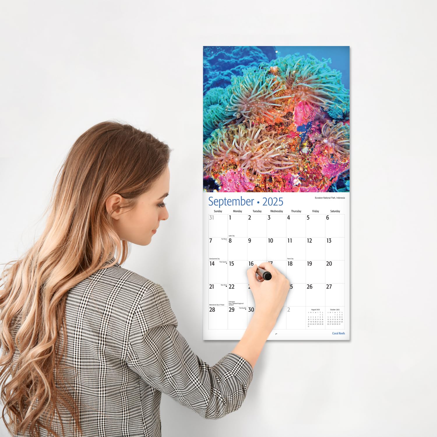 Snapklik.com : Coral Reefs 2025 Wall Calendar 12 Month 12" X 24" Open ...