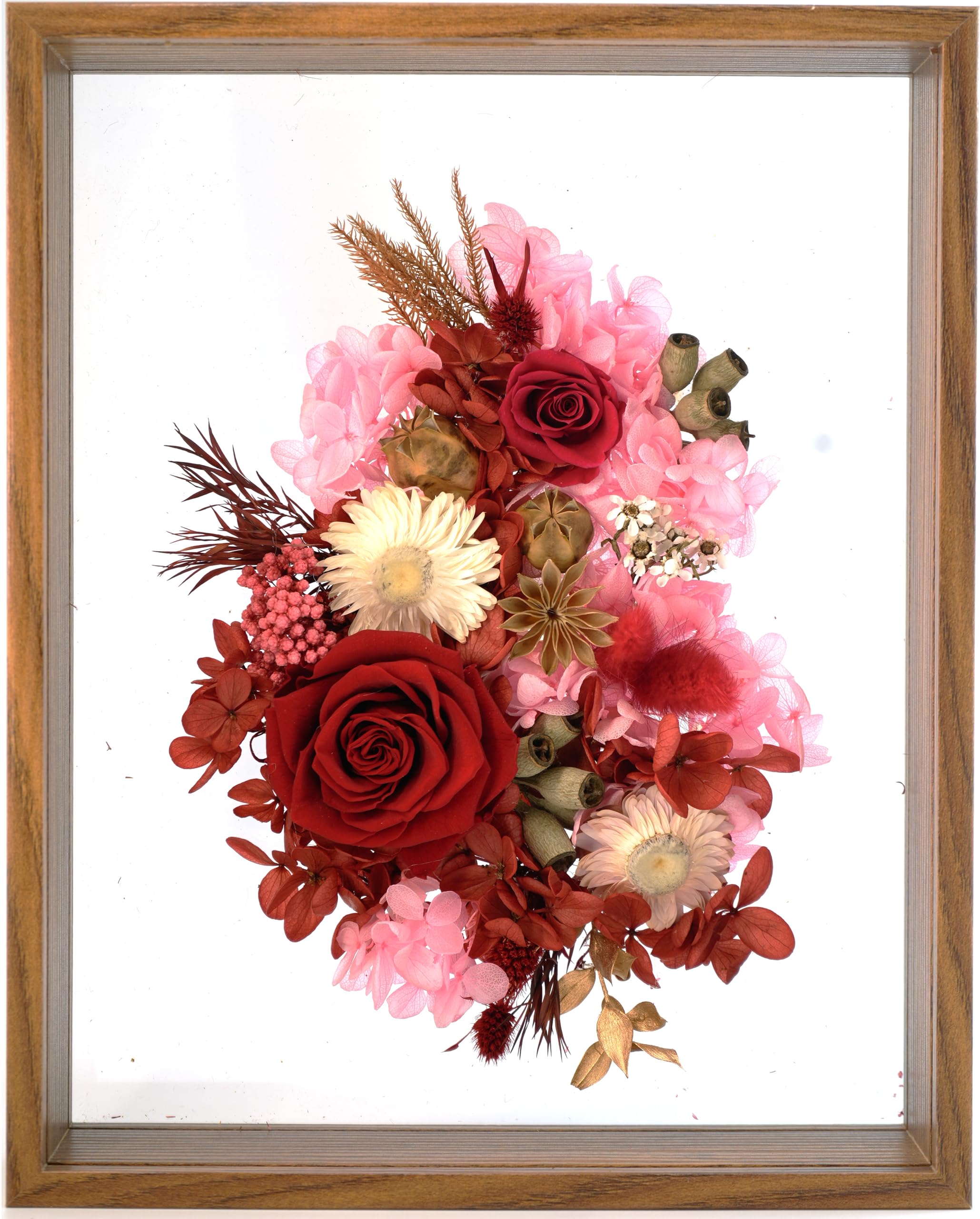 Marvellous Flower Of Life Vector Photographs Blooming Marvellous