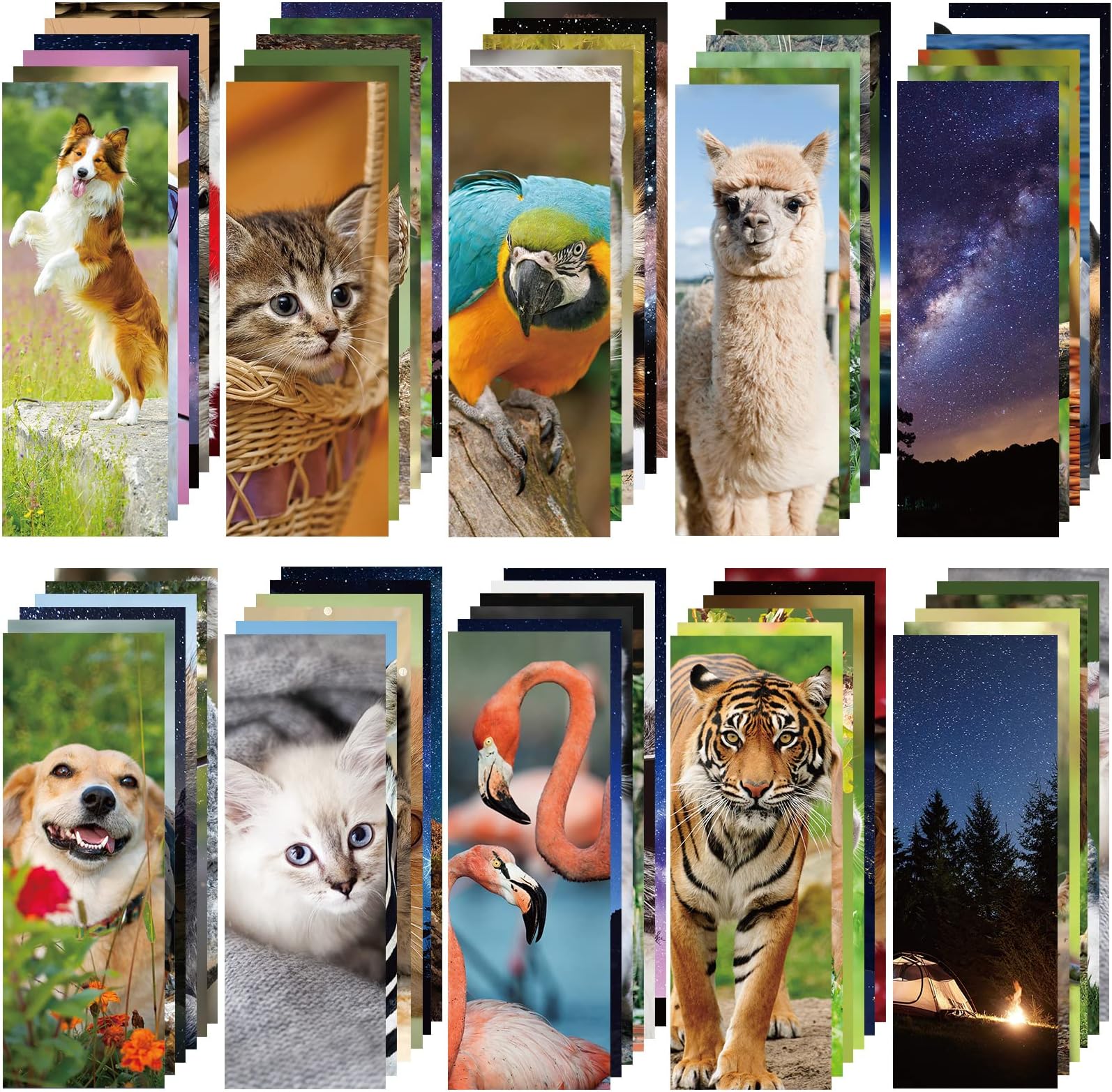 Amazon.com : 3D Bookmarks - Animal Bookmarks Book Friend Bookmark, Fun ...