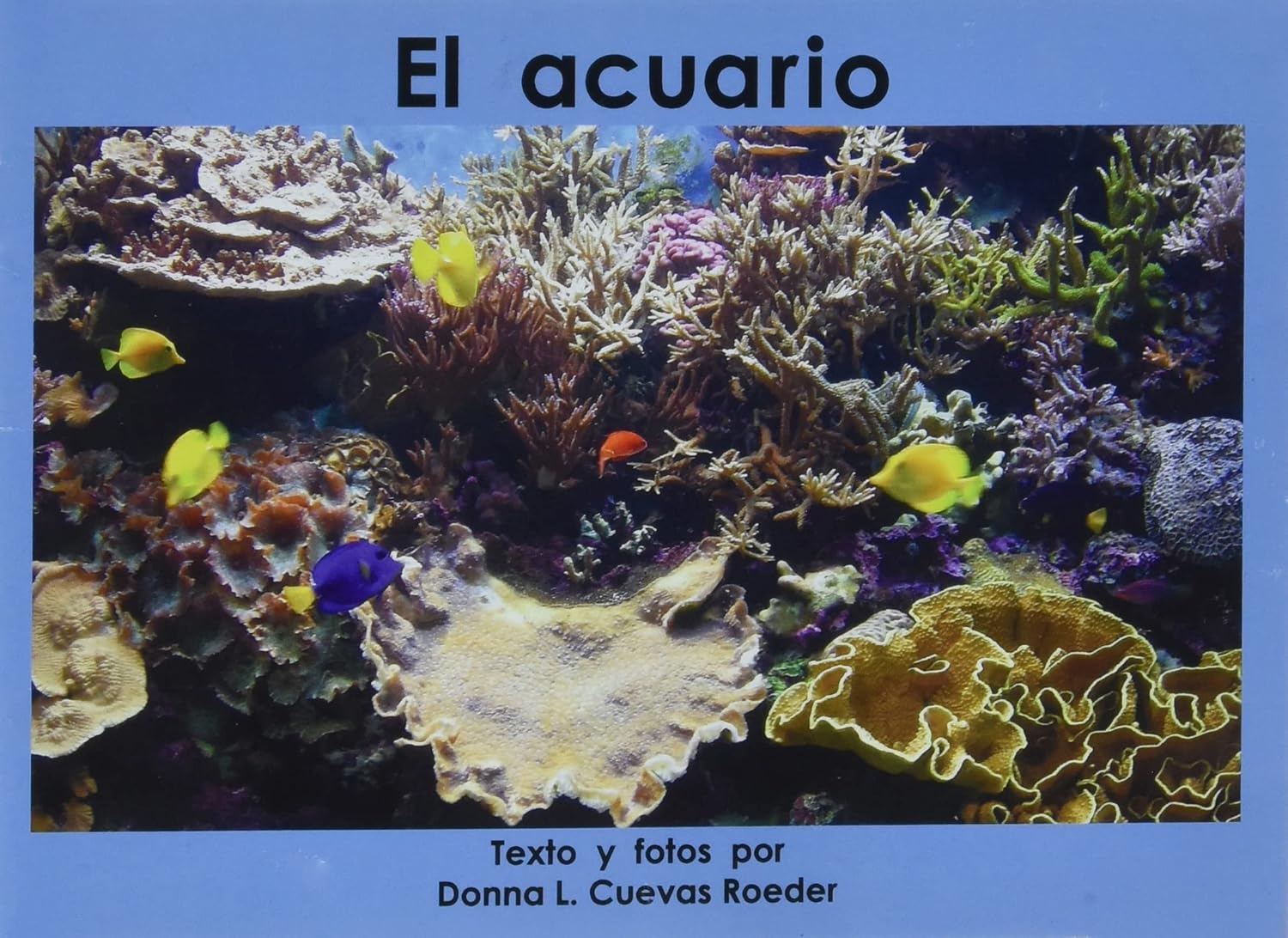 Amazon.com: El acuario/ The Aquarium (Hopscotch Books) (Spanish Edition ...