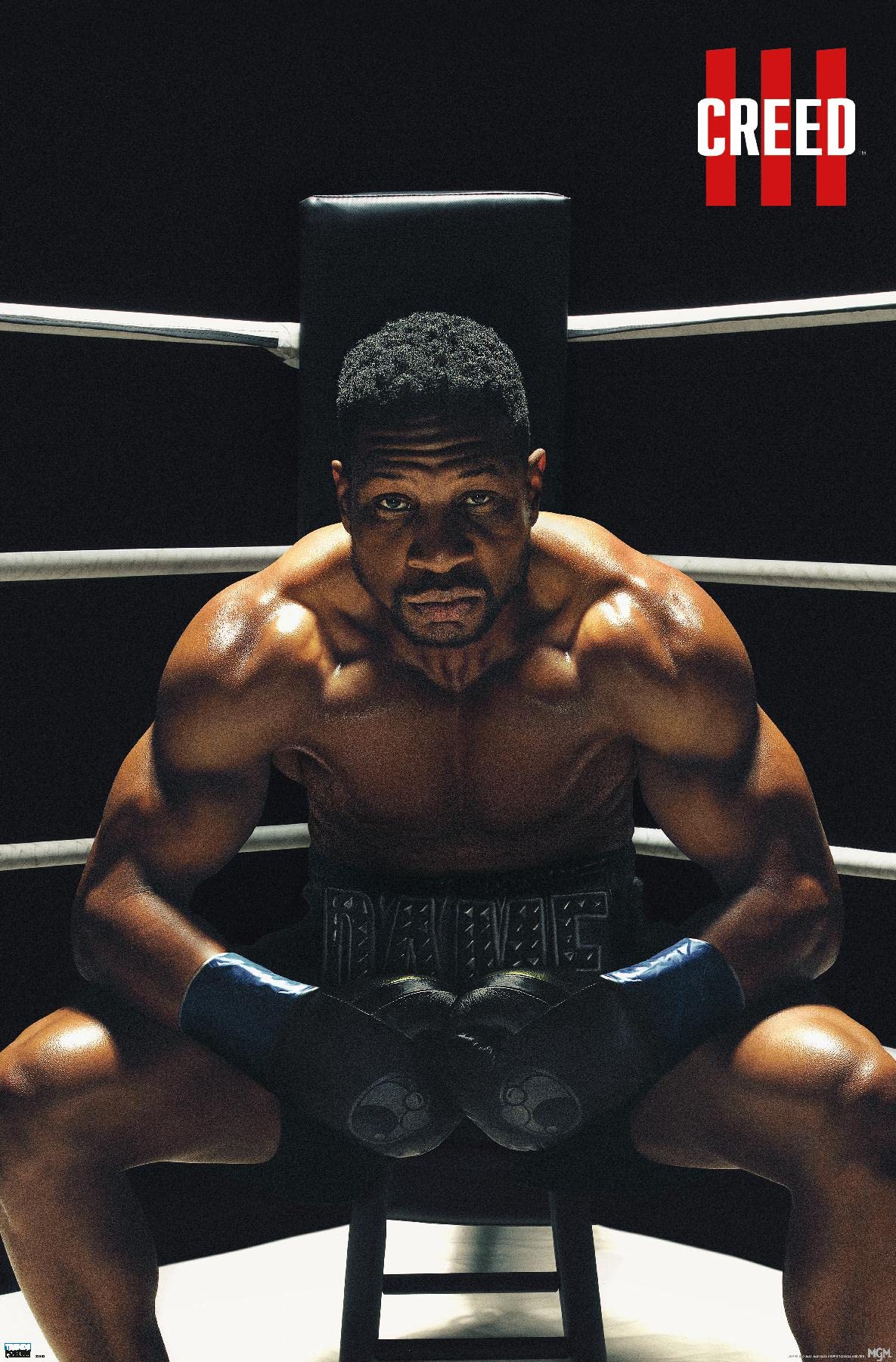 Amazon.com: Trends International Creed III - Damian One Sheet Wall ...