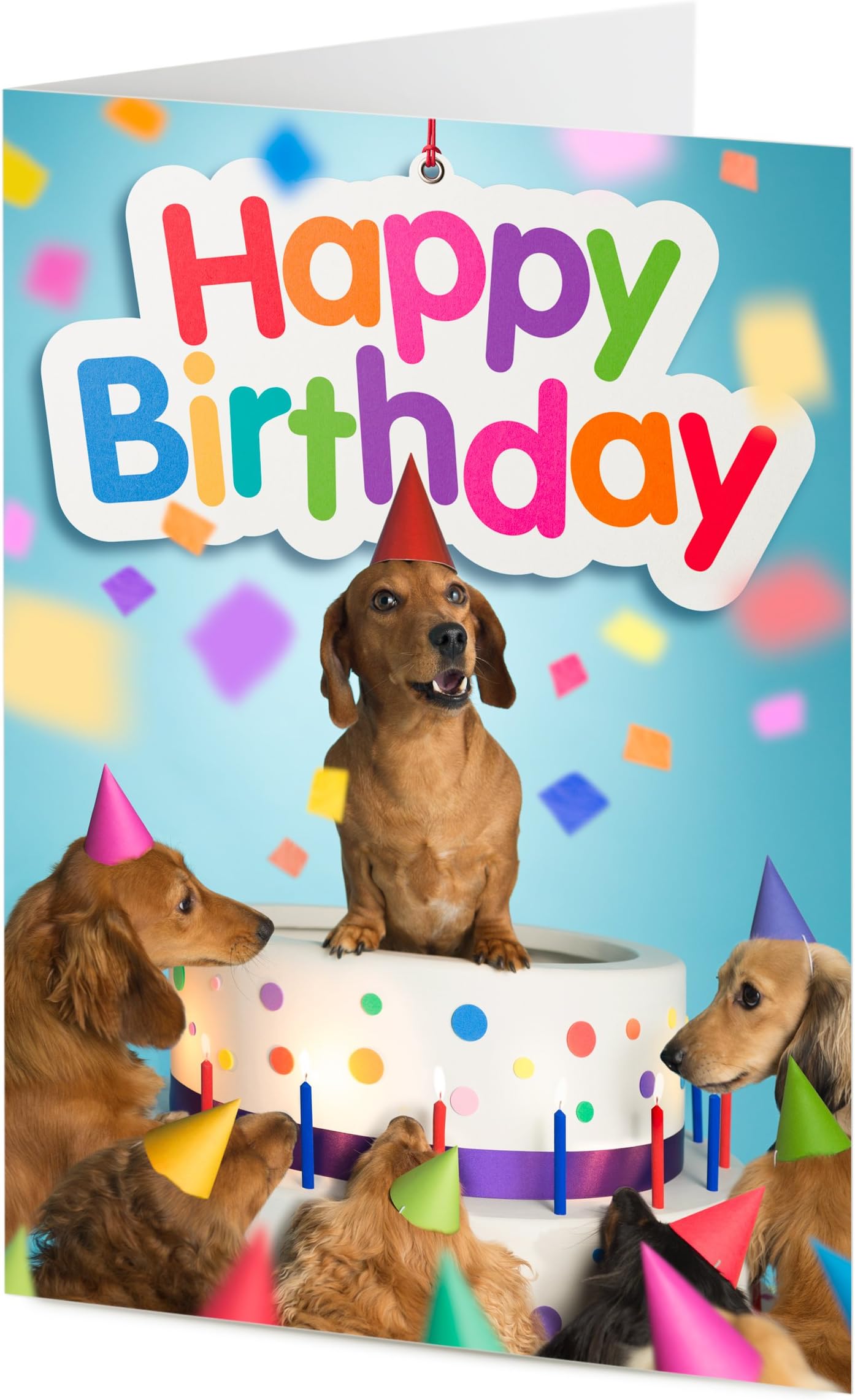 Dachshund Birthday Card Cute Sausage Dog Birthday Card 147 x 147mm ...