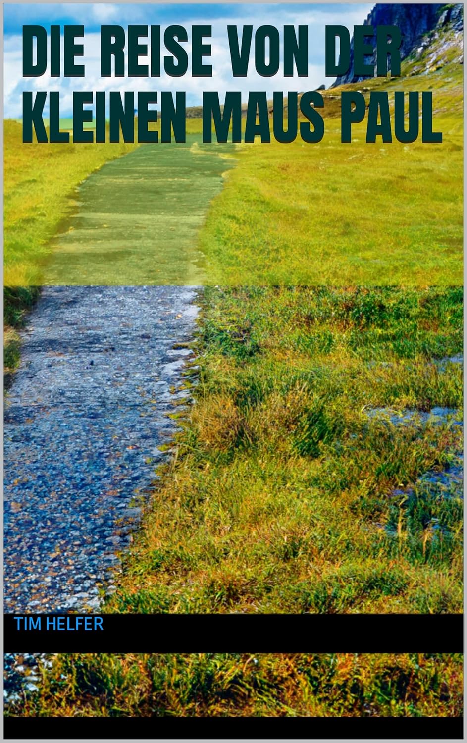 Die Reise von der kleinen Maus Paul eBook : Helfer, Tim: Amazon.de ...