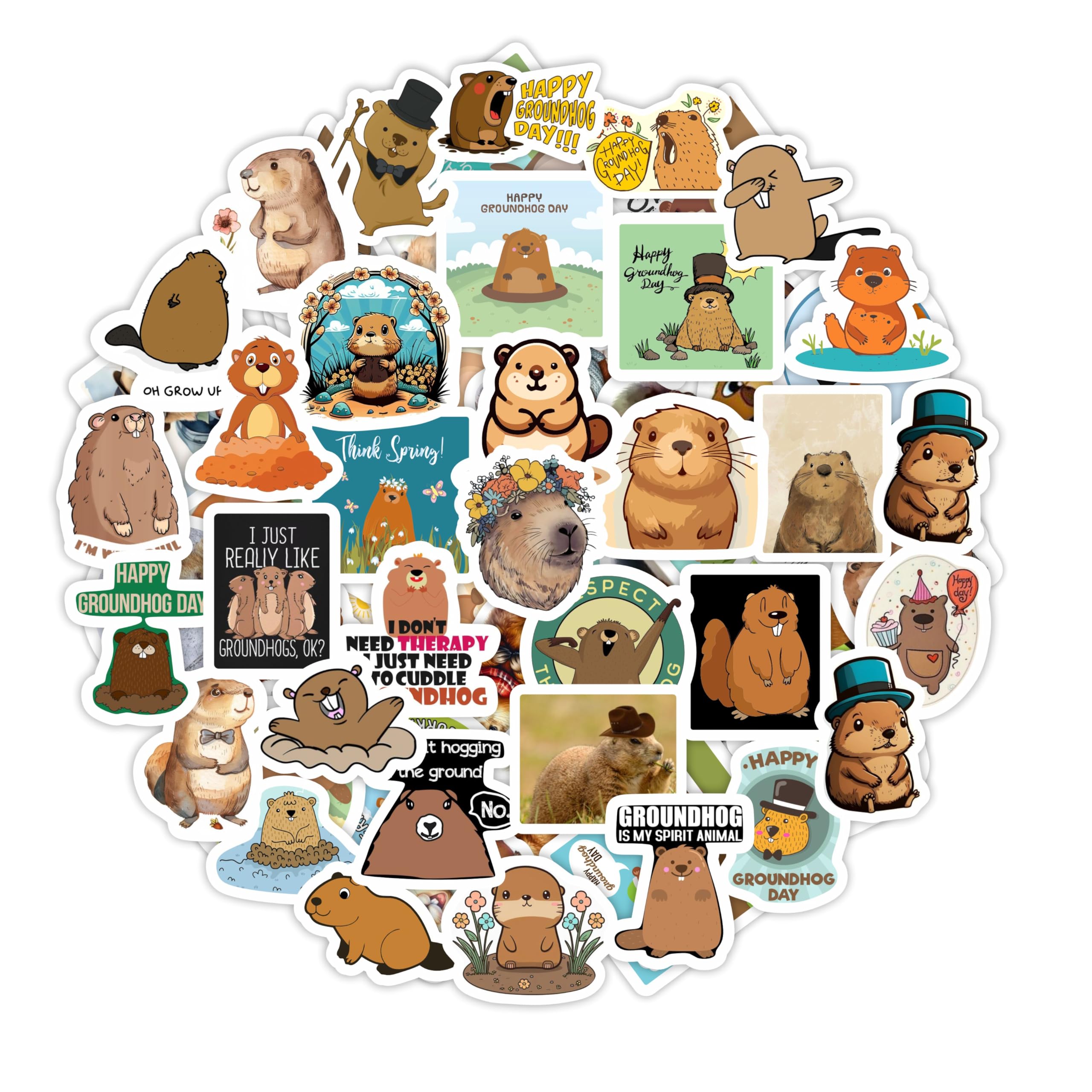 Amazon.com: Groundhog Stickers for Water Bottle and Laptop - Cute ...