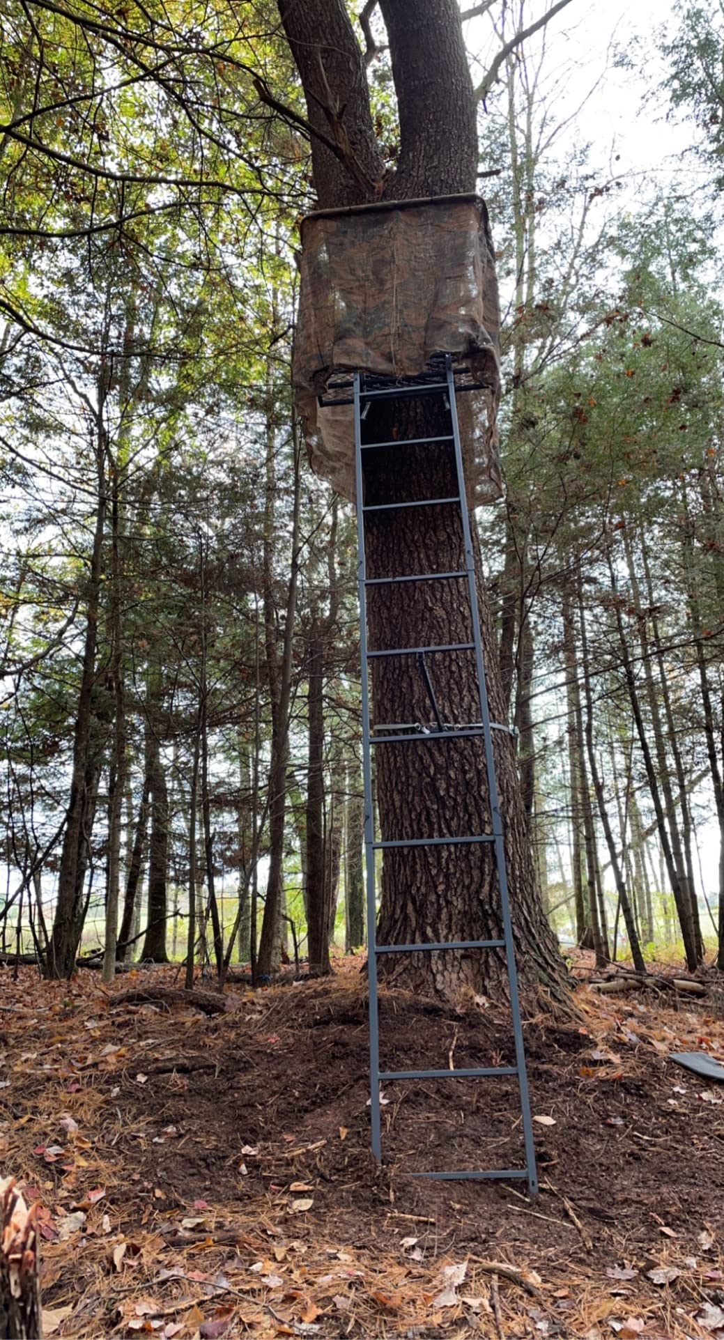 Rifle Ladder Tree Stands