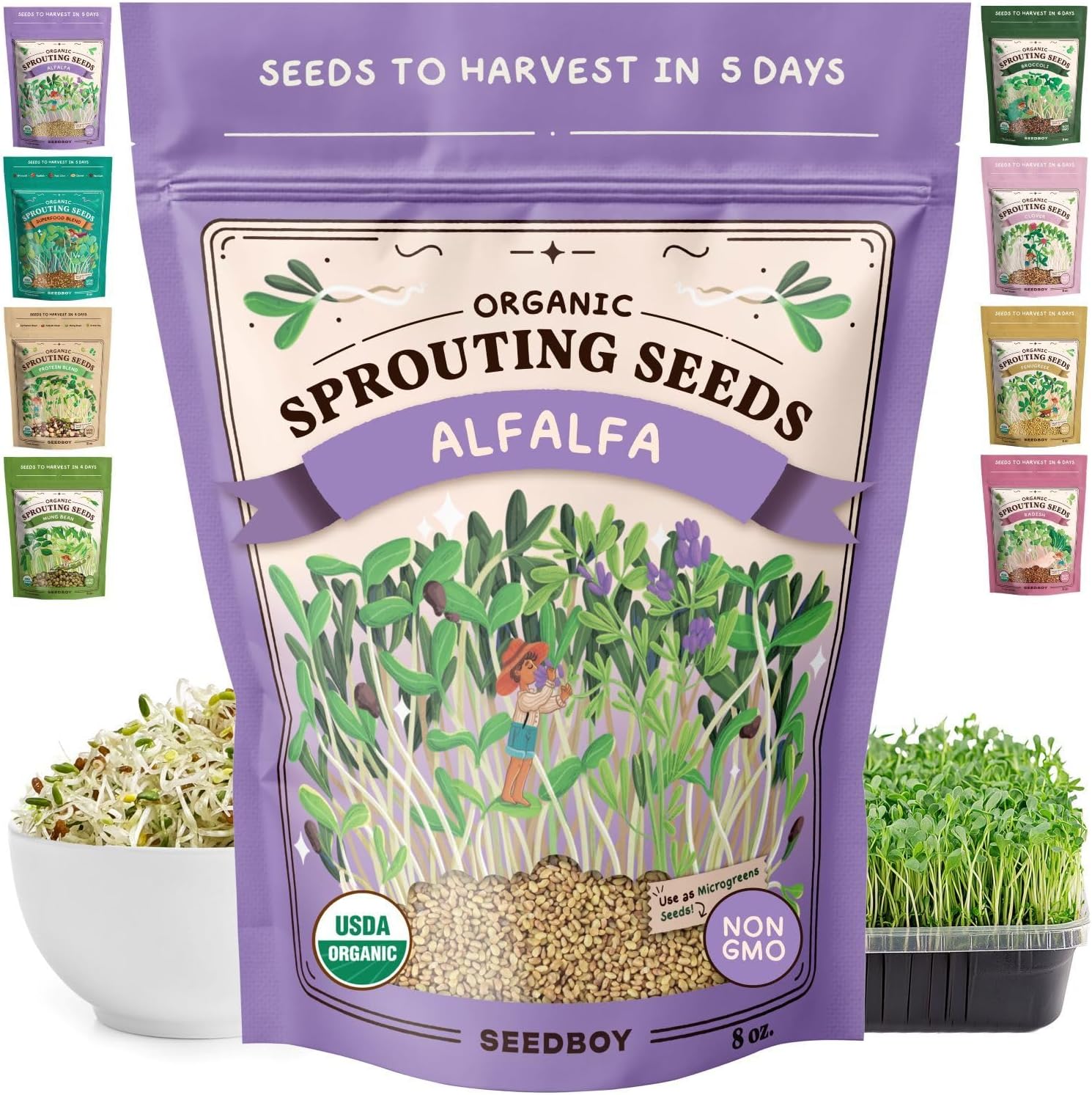 Amazon.com : Microgreens Alfalfa Sprout Seeds 3 Ounces of Seeds Salad ...