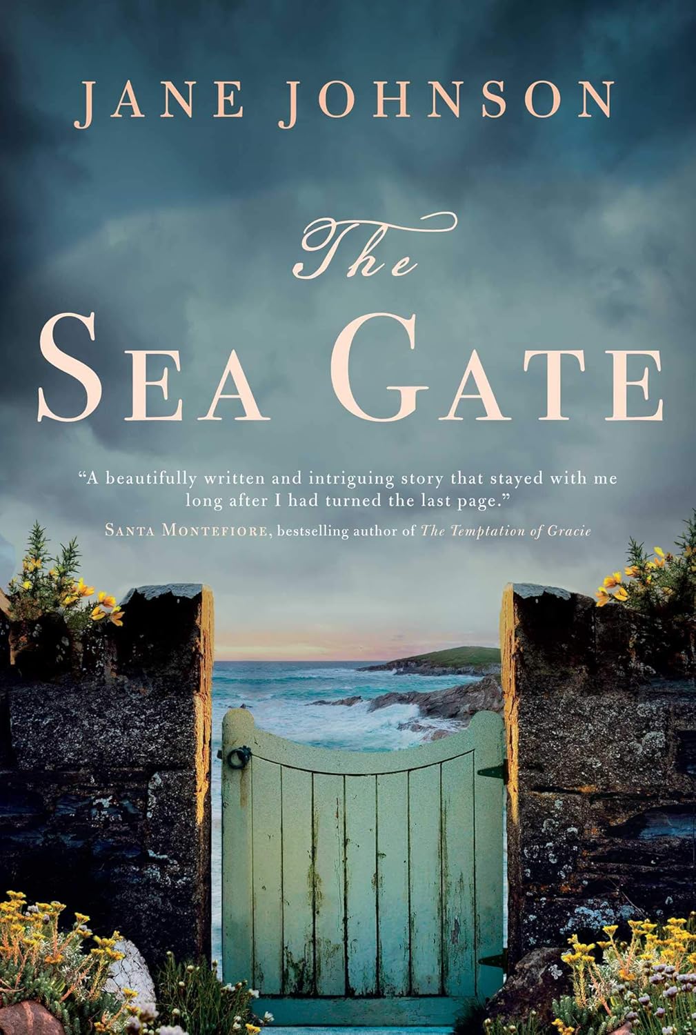 Amazon.com: The Sea Gate eBook : Johnson, Jane: Kindle Store