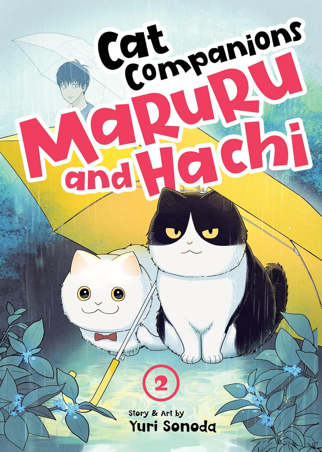 Amazon.com: Cat Companions Maruru and Hachi Vol. 2: 9798891602199: Sonoda, Yuri: Books