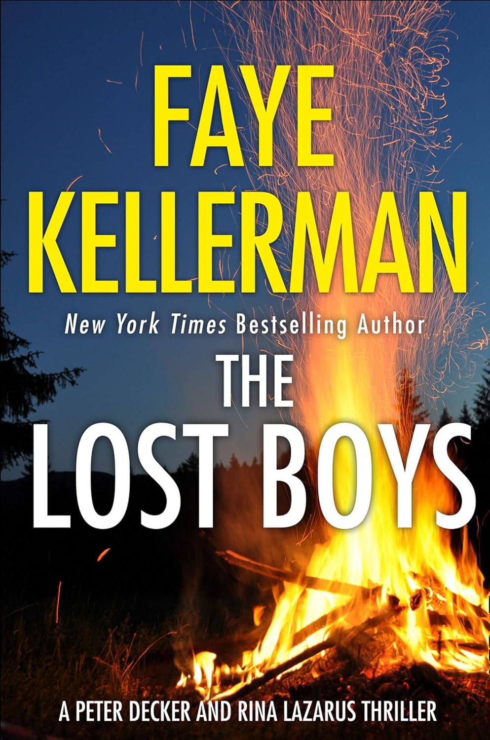 Amazon.com: The Lost Boys: The gripping new crime mystery thriller from ...