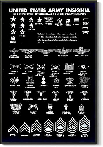 Amazon.com: United States Army Rank Chart Reference Enlisted Officer ...