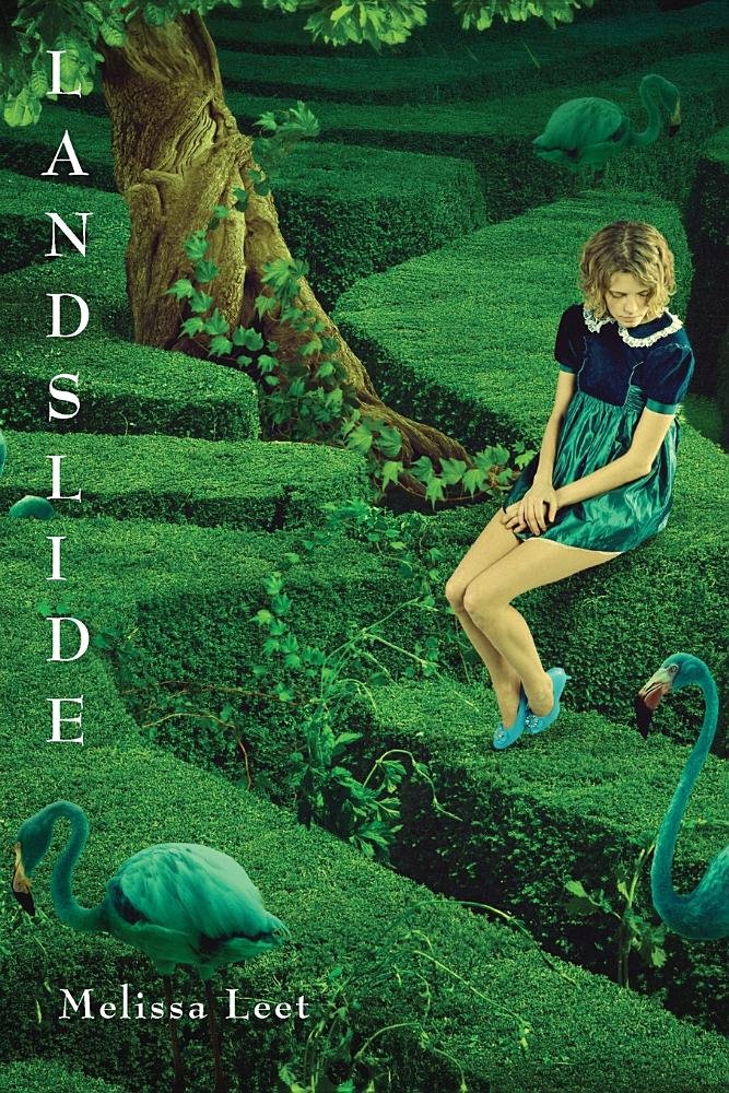 Landslide: 9781943826339: Amazon.com: Books