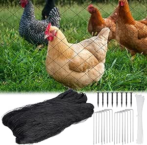 Amazon.com : NONMON Bird Netting for Garden - 25'x50' Poultry Netting with 2.4" Square Mesh Net ...