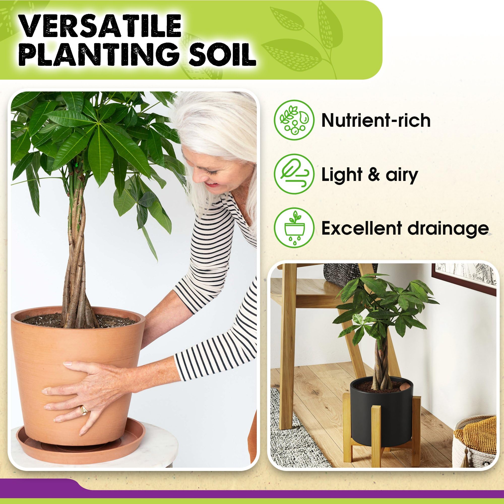 Snapklik.com : DUSPRO Recycle Money Tree Soil, Premium Coco Coir ...