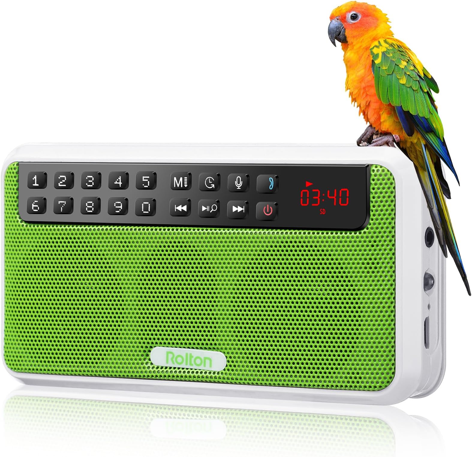Amazon.com : Tellegloww Parrots Teach Talking Voice Recording Whistling ...