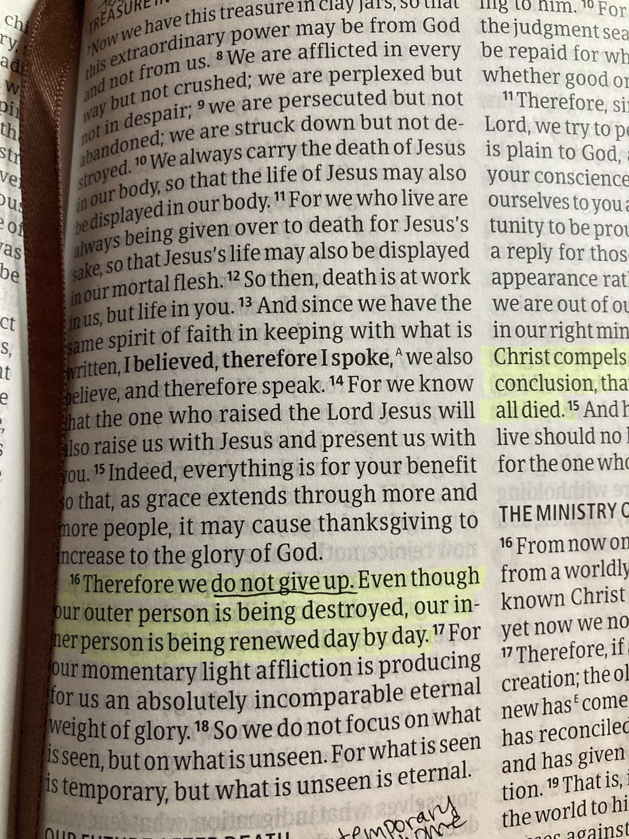 CSB Thinline Bible, Value Edition, Brown LeatherTouch, Red Letter ...