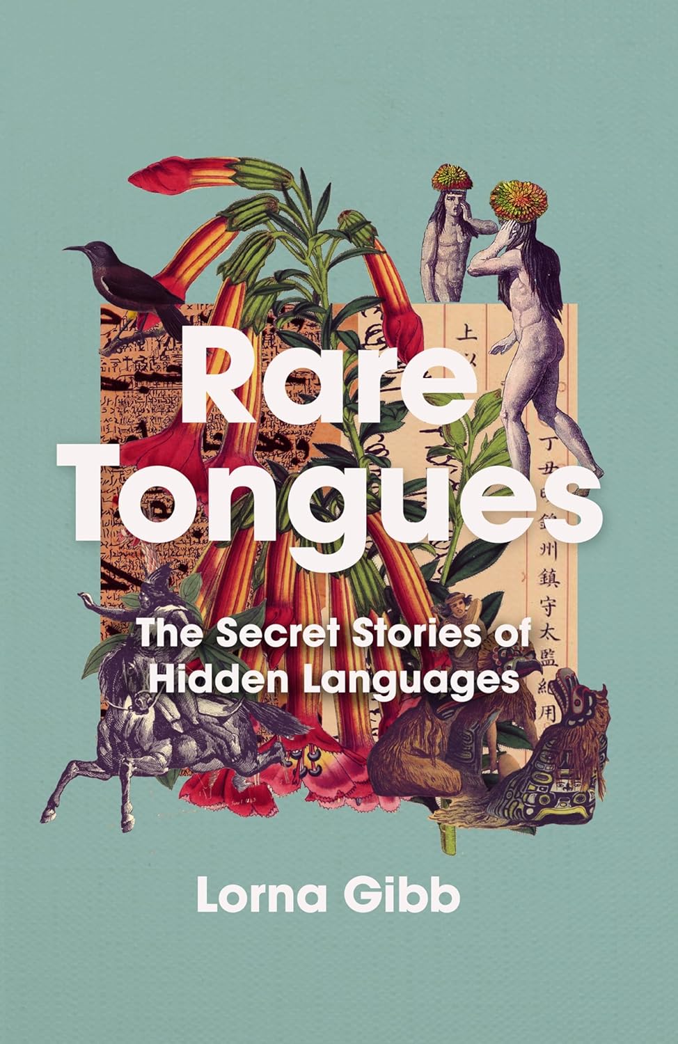 Rare Tongues: The Secret Stories of Hidden Languages: Amazon.co.uk ...