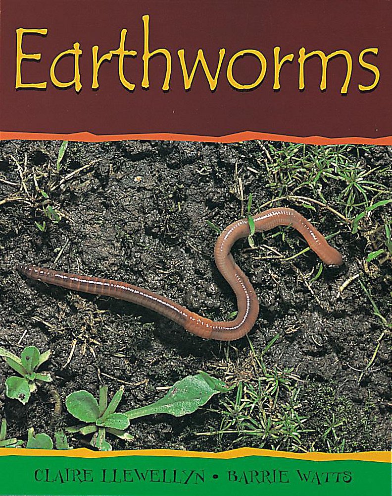 Earthworms (Minibeasts): Claire Llewellyn: 9780749652074: Amazon.com: Books