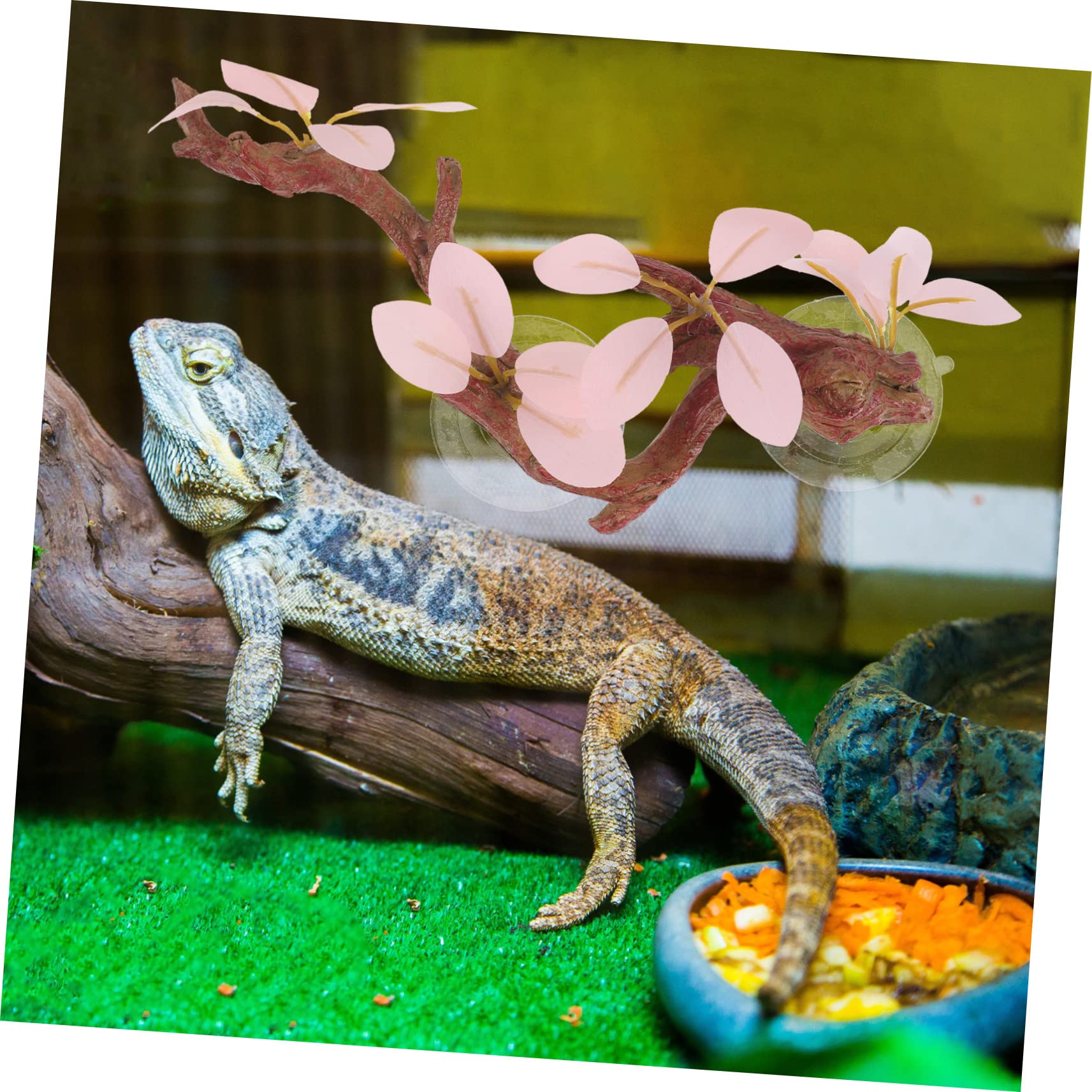 Frame For Climbing Plants Spider Plant 5-Piece Reptile Climbing ...