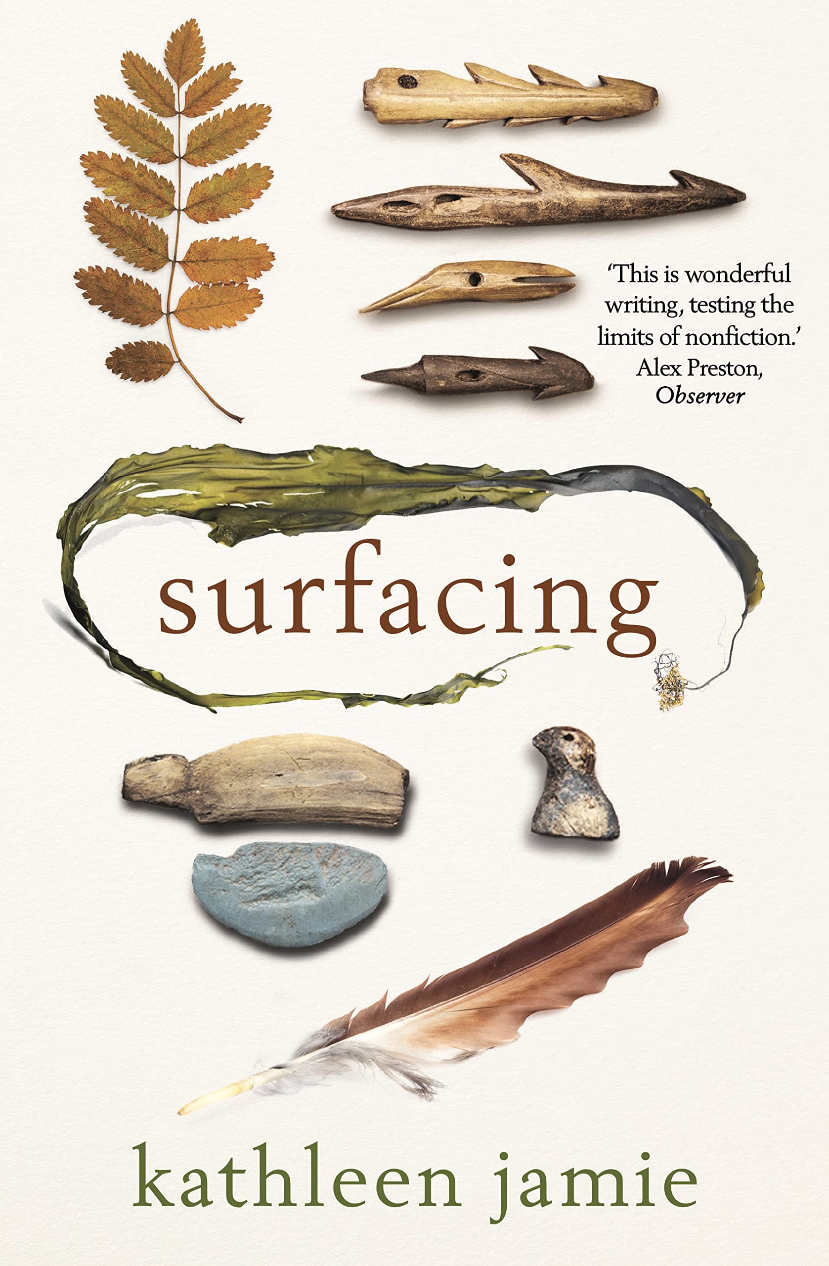 Surfacing: Amazon.co.uk: Jamie, Kathleen: 9781908745828: Books