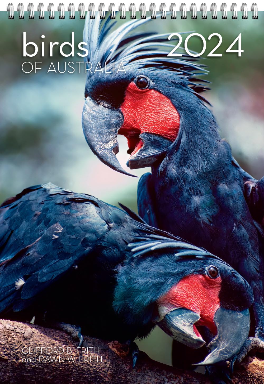 2024 Birds of Australia Wall Calendar : Frith, Cliff, Frith, Dawn ...