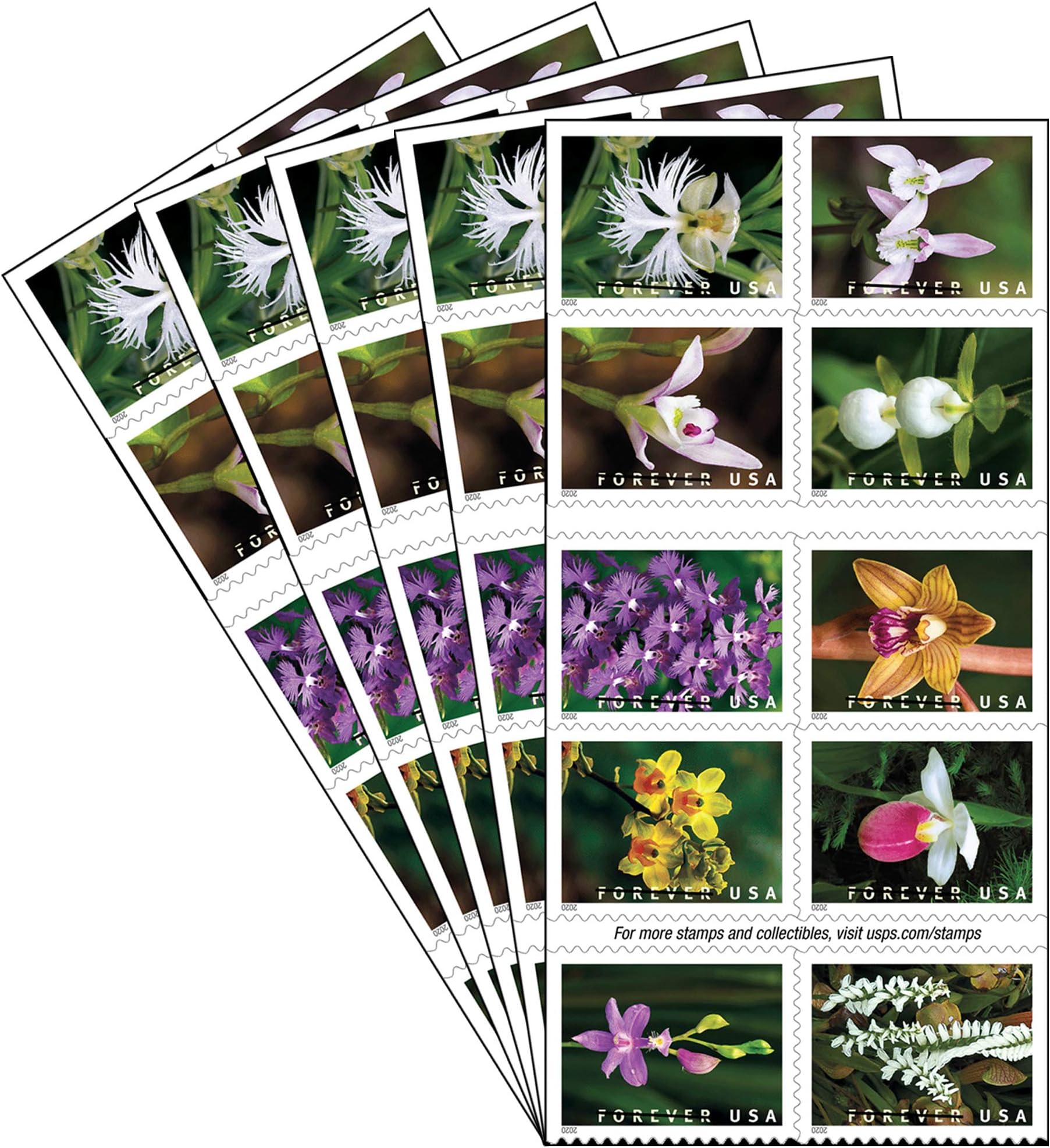 Amazon.com: Flowers from The Garden USPS First Class Postage Stamps ...