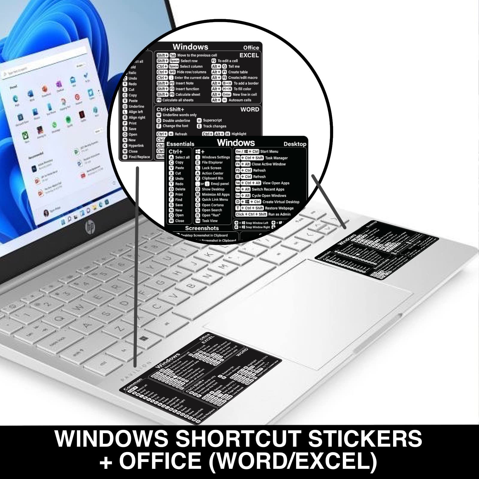 Snapklik.com : Microsoft Windows + Word/Excel Quick Reference Guide ...