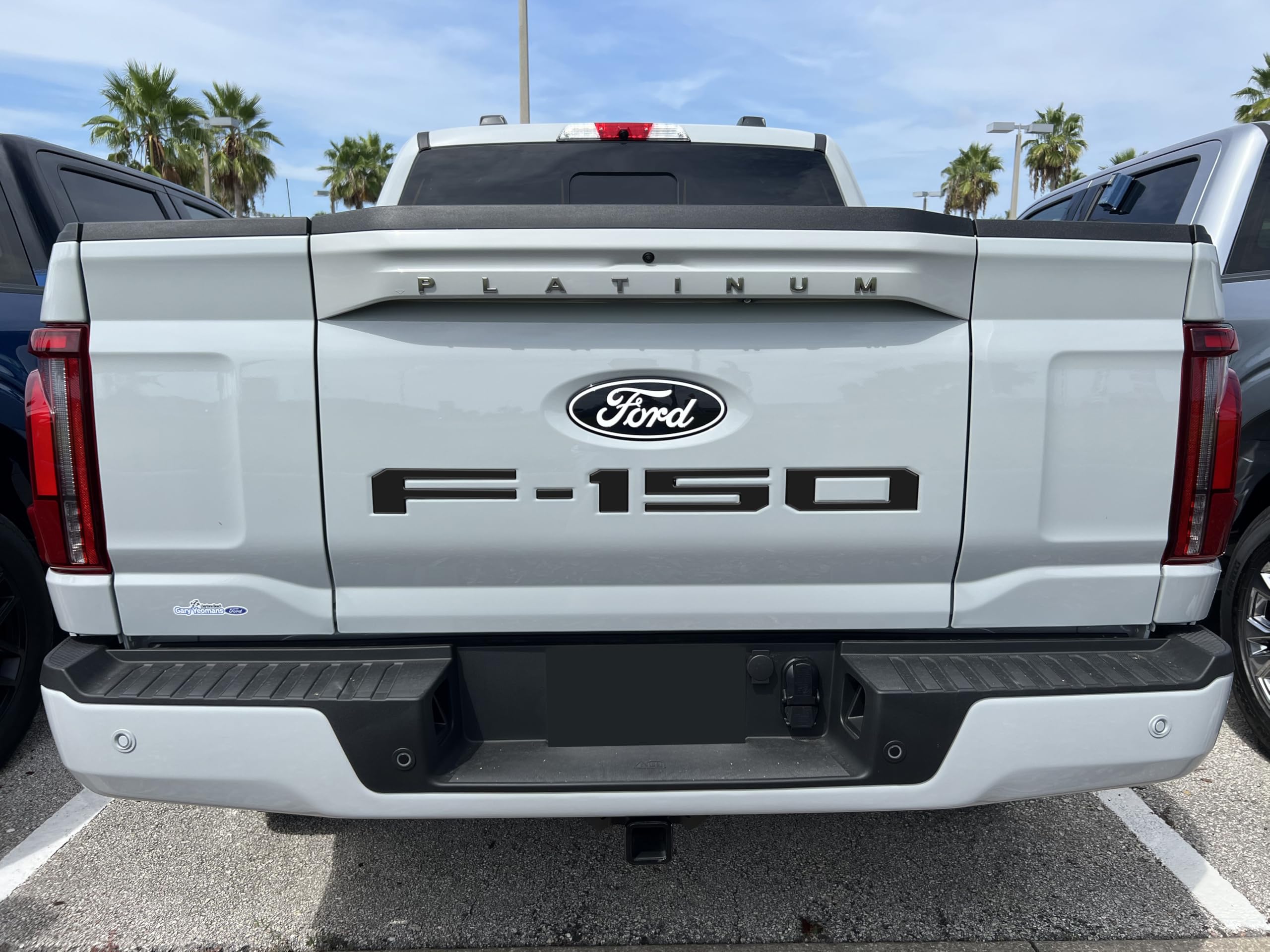 Amazon.com: F-150 Tailgate Emblem Letter Inserts - Compatible with 2021 ...