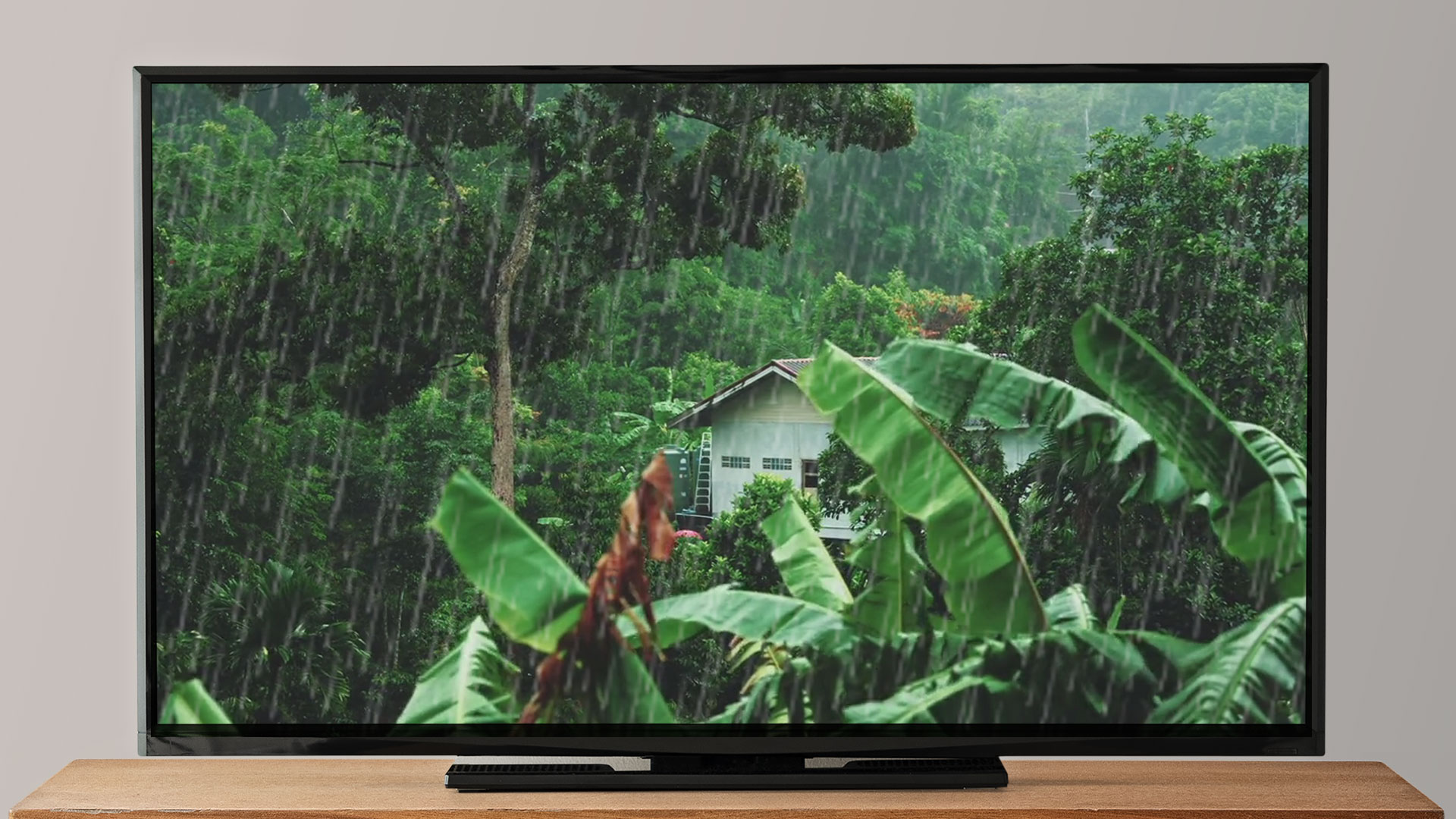 Rain Serenity: Drift into Sleep with Gentle Rain Sounds For Fire ...