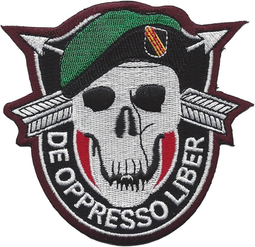 Amazon.com: 160th Special Operations Aviation Regiment Patch Flight ...