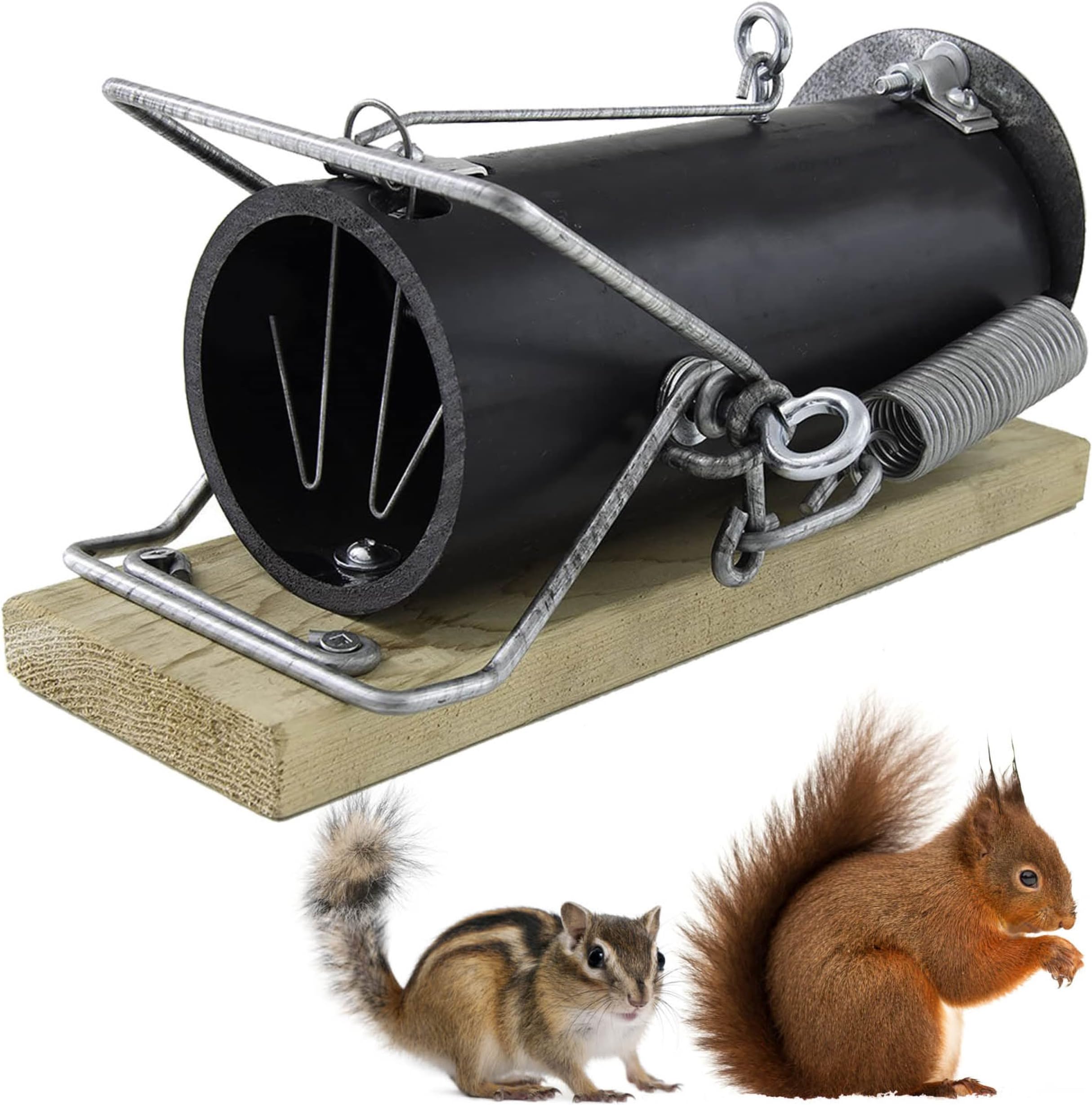 Amazon.com : Squirrel Traps Outdoor - Squirrel Traps - Ouell Traps ...