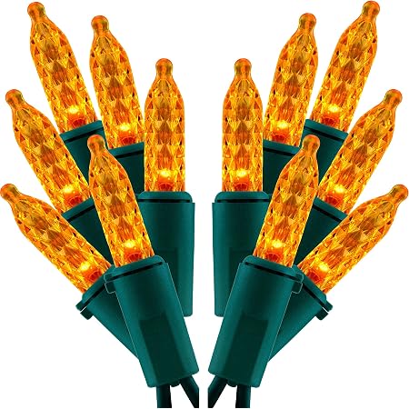 Amazon.com : SWEET SHINE Orange LED Christmas Lights, Pack of 2 Sets 33 ...
