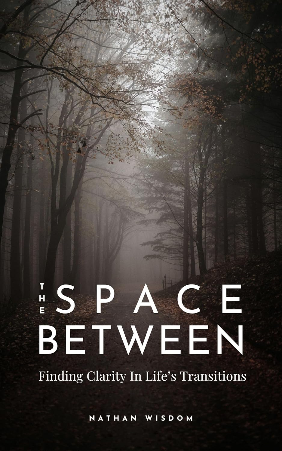 Amazon.com: The Space Between: Finding Clarity In Life's Transitions ...
