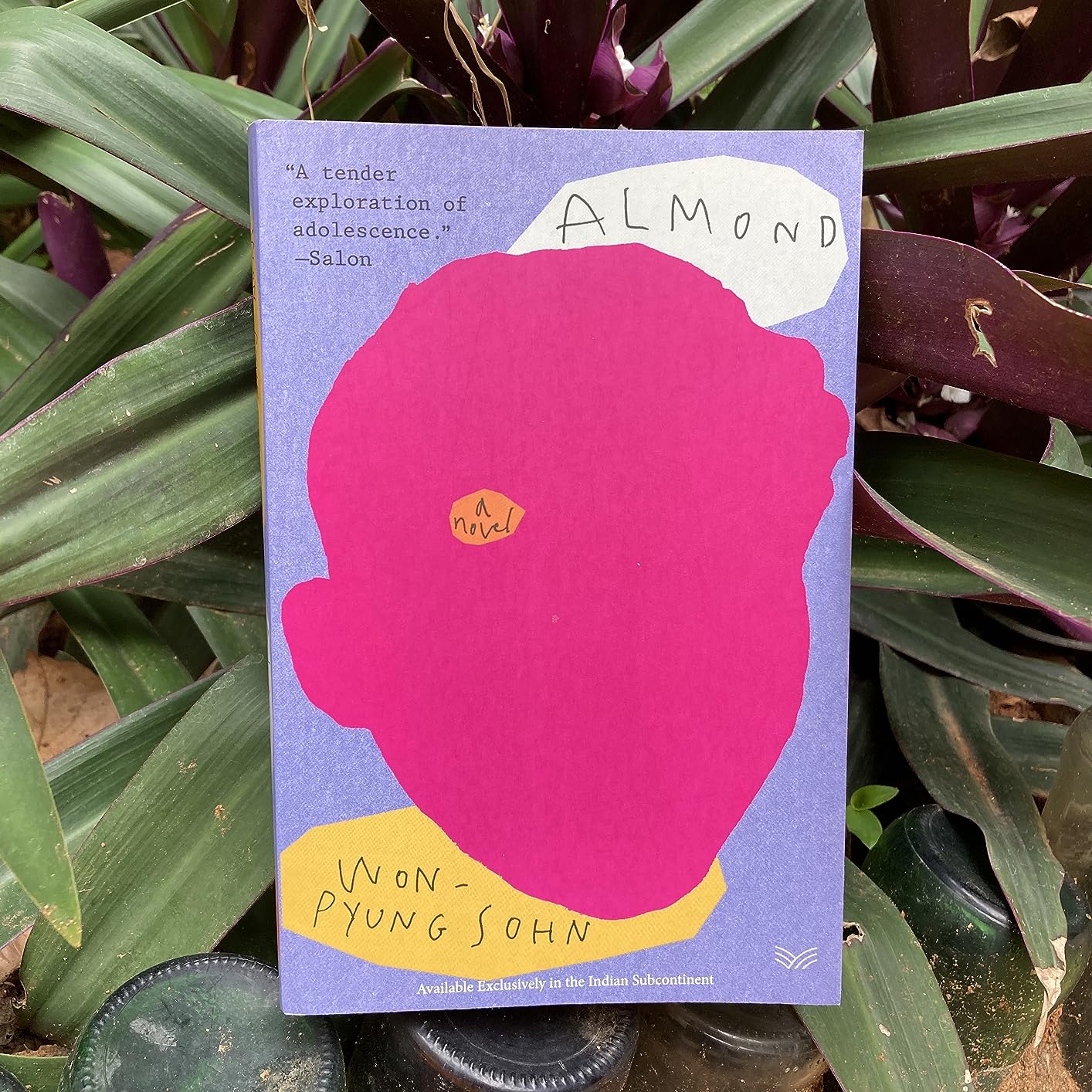 Almond: A Novel : Sohn, Won-pyung, Lee, Sandy Joosun: Amazon.in: Books