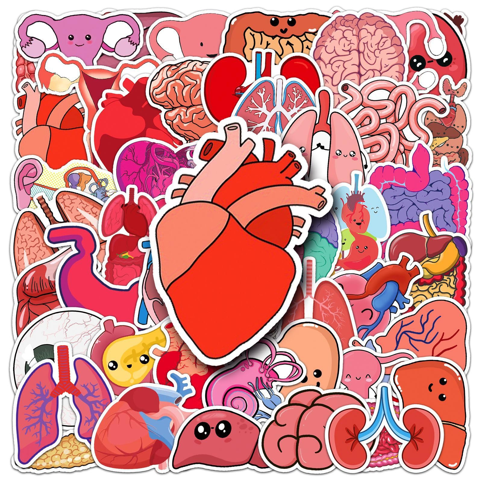 50 Pcs Human Body Organs Stickers Funny Human Biology Sticker for Water ...