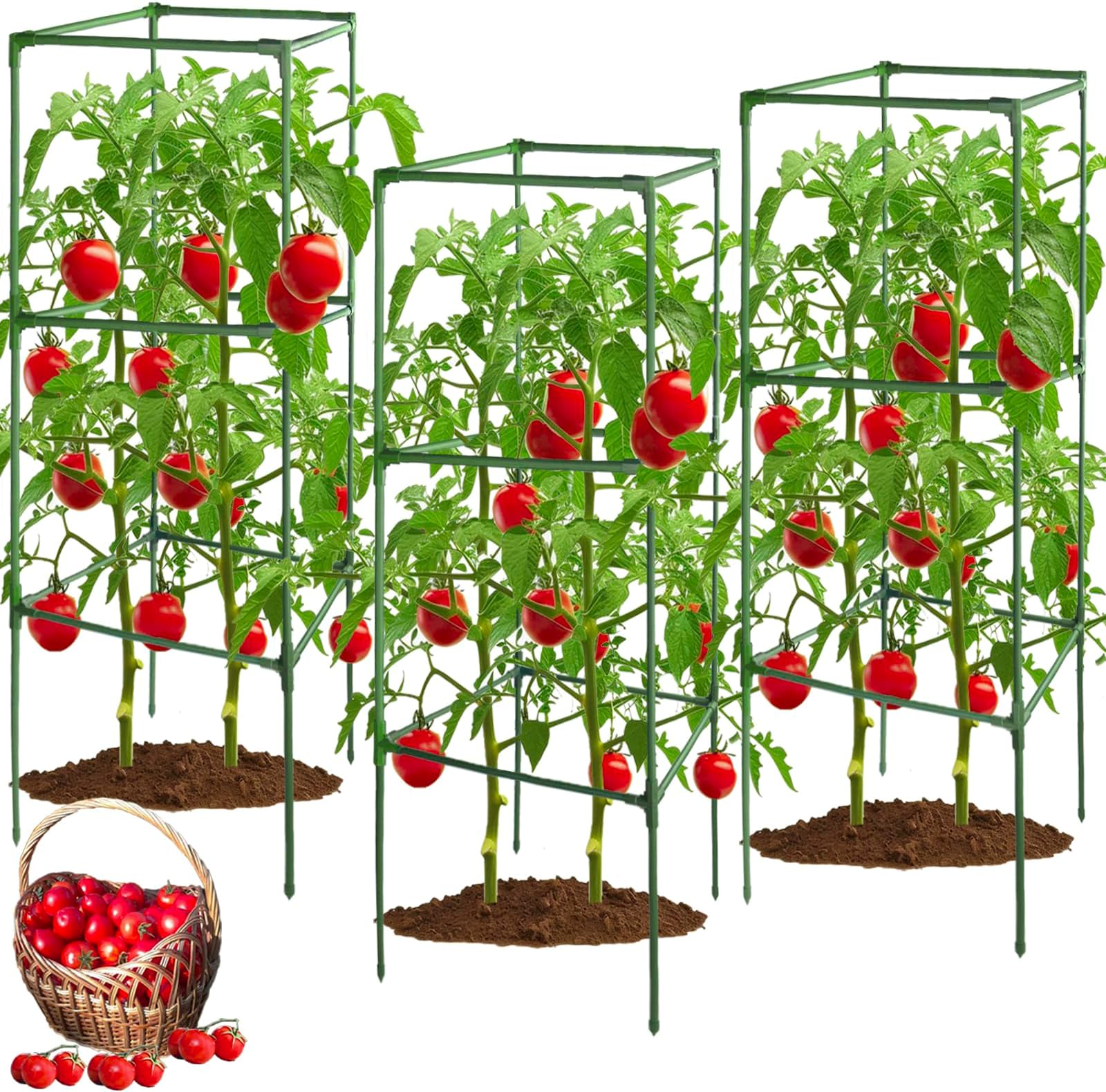 Amazon.com : 3 Pack 47 * 15.7 * 15.7Inchs Tomato Cages for Garden ...