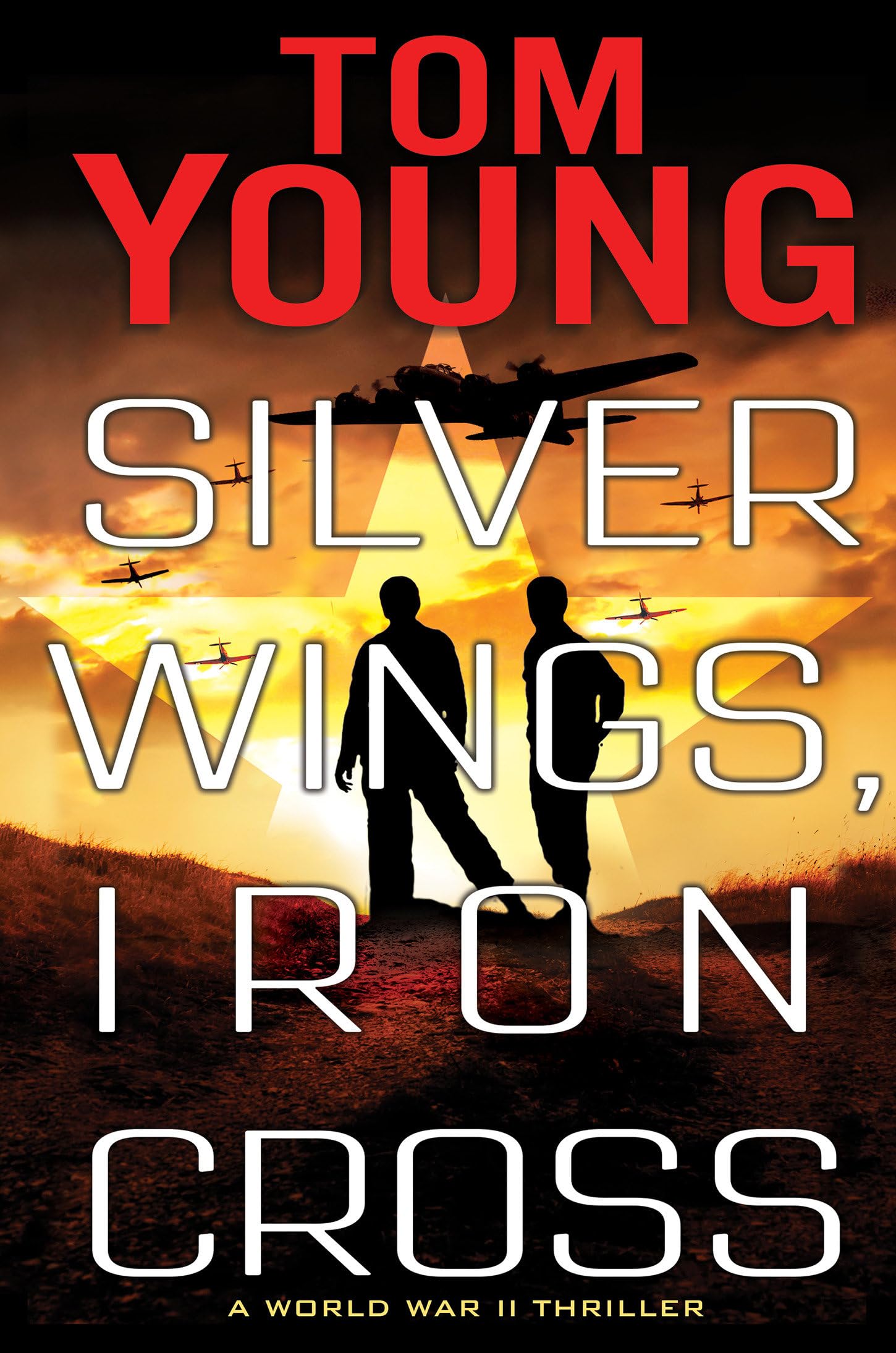 Amazon.com: Silver Wings, Iron Cross: 9781496730435: Young, Tom: Books