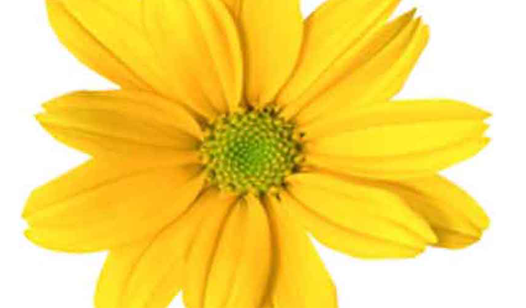 Sun Browser - App on Amazon Appstore